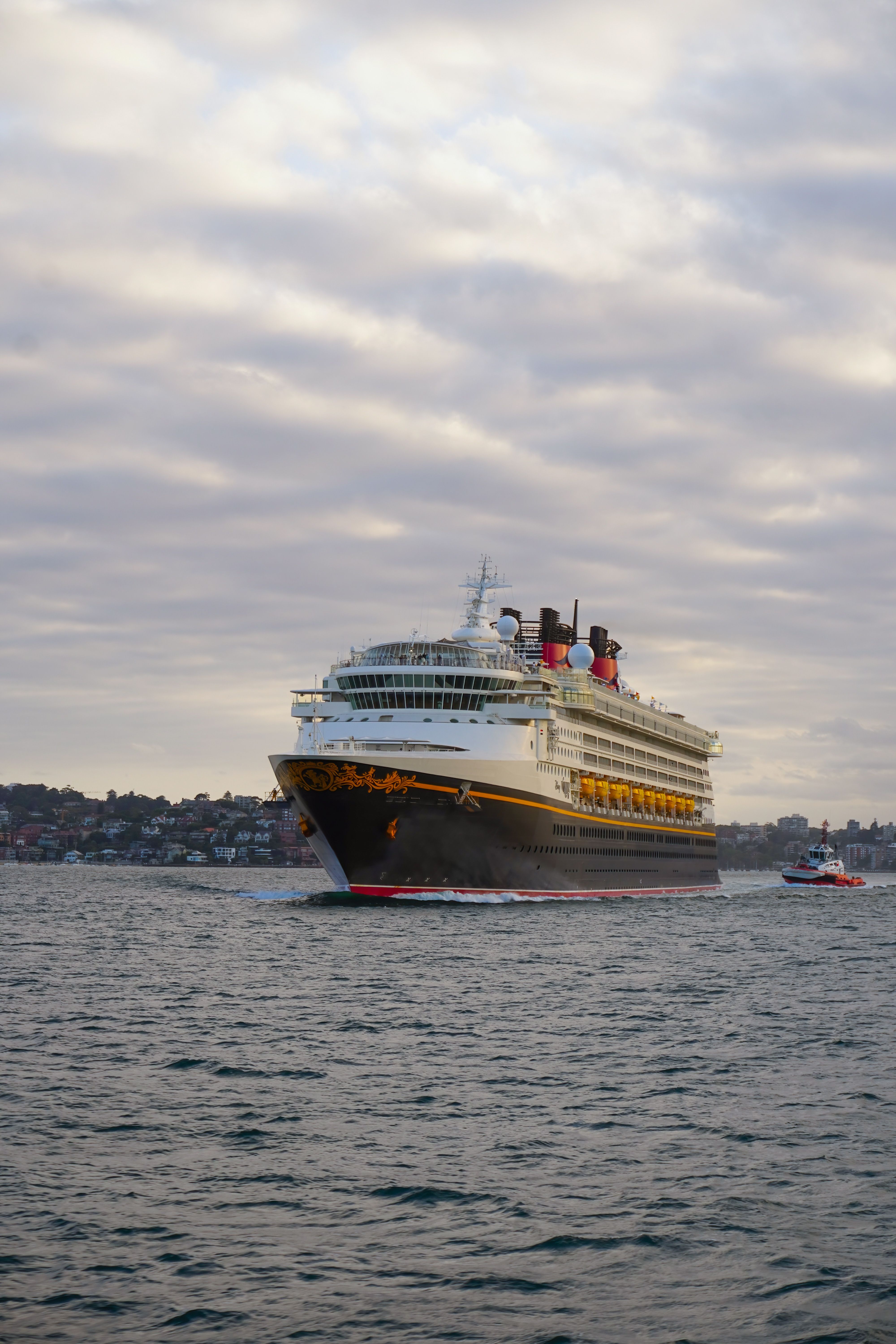 Modern Cruise Ship with Curved Architecture · Free Stock Photo