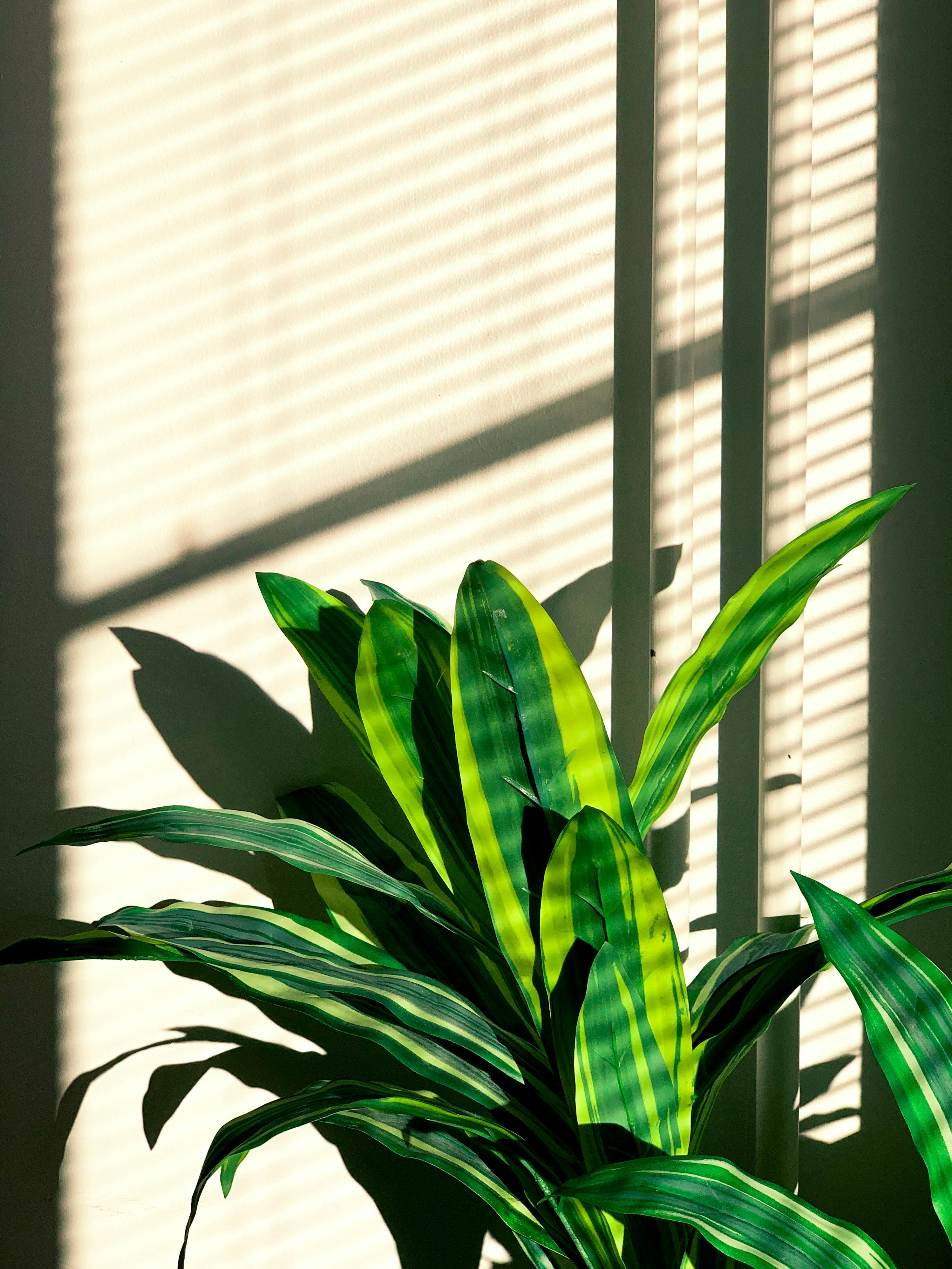 Phone Calculator Wallpaper Photos, Download The BEST Free Phone ...