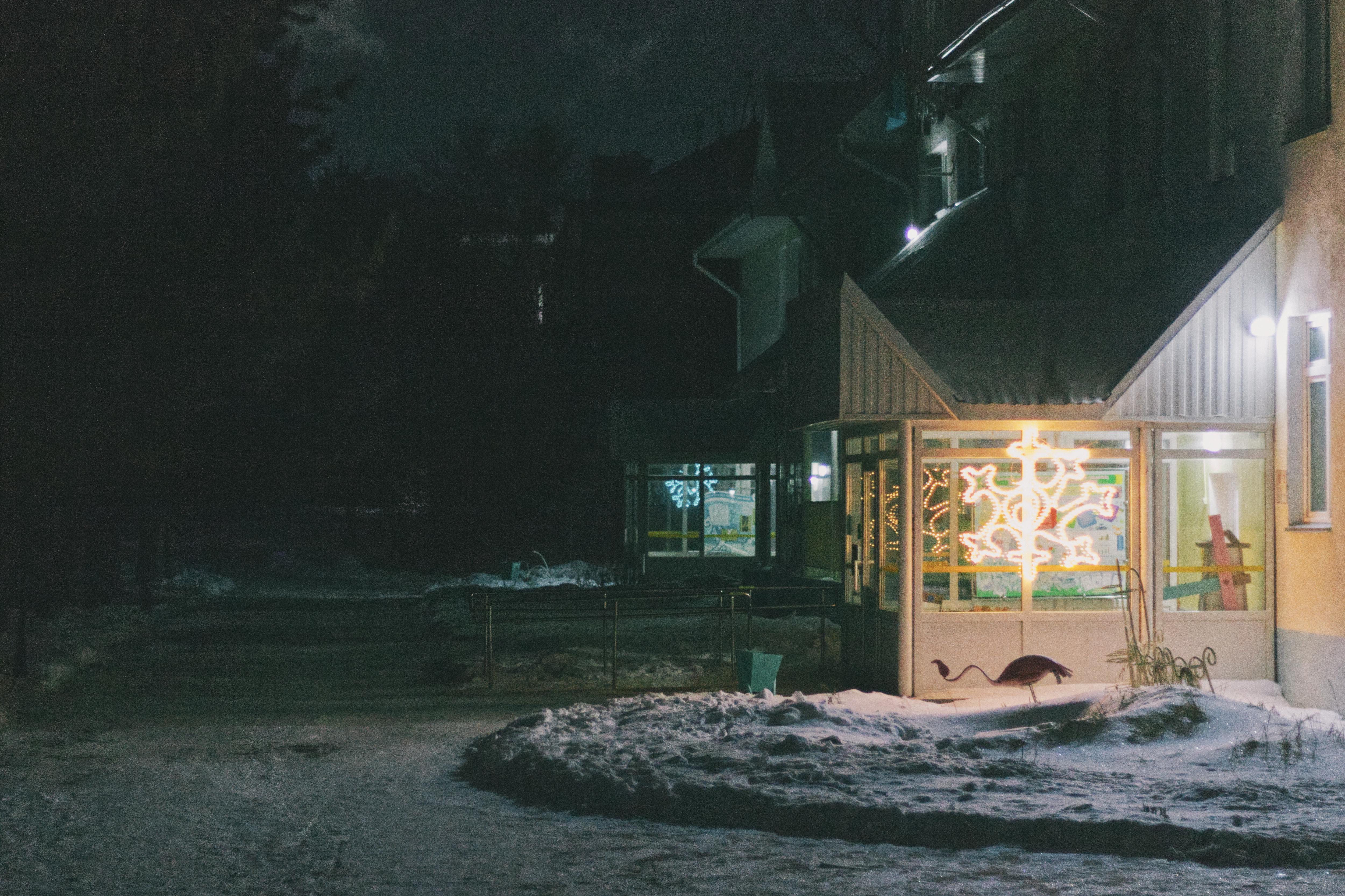 Cozy Winter Night Scene with Neon Decor · Free Stock Photo