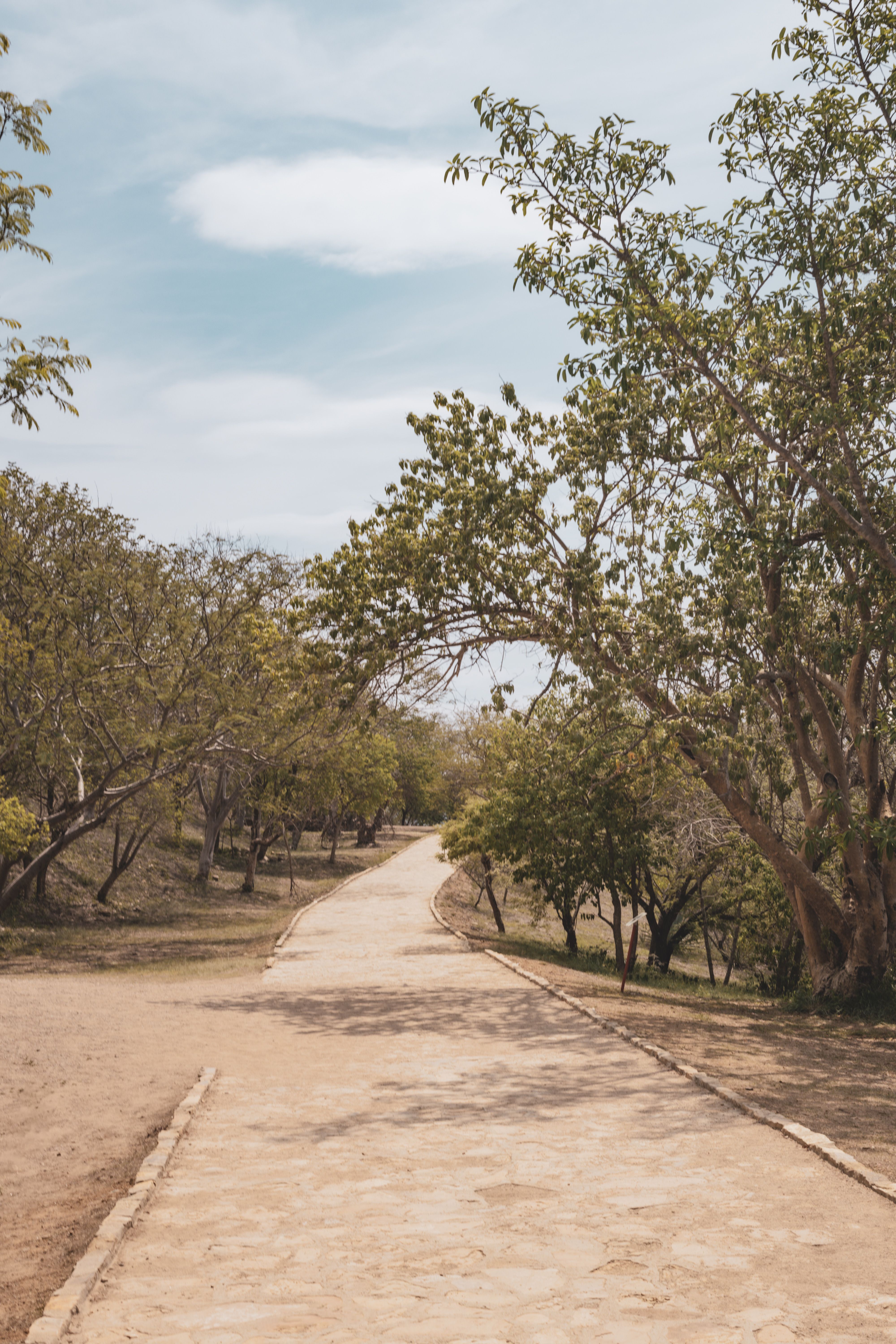 Walk Trails Photos, Download The BEST Free Walk Trails Stock Photos ...