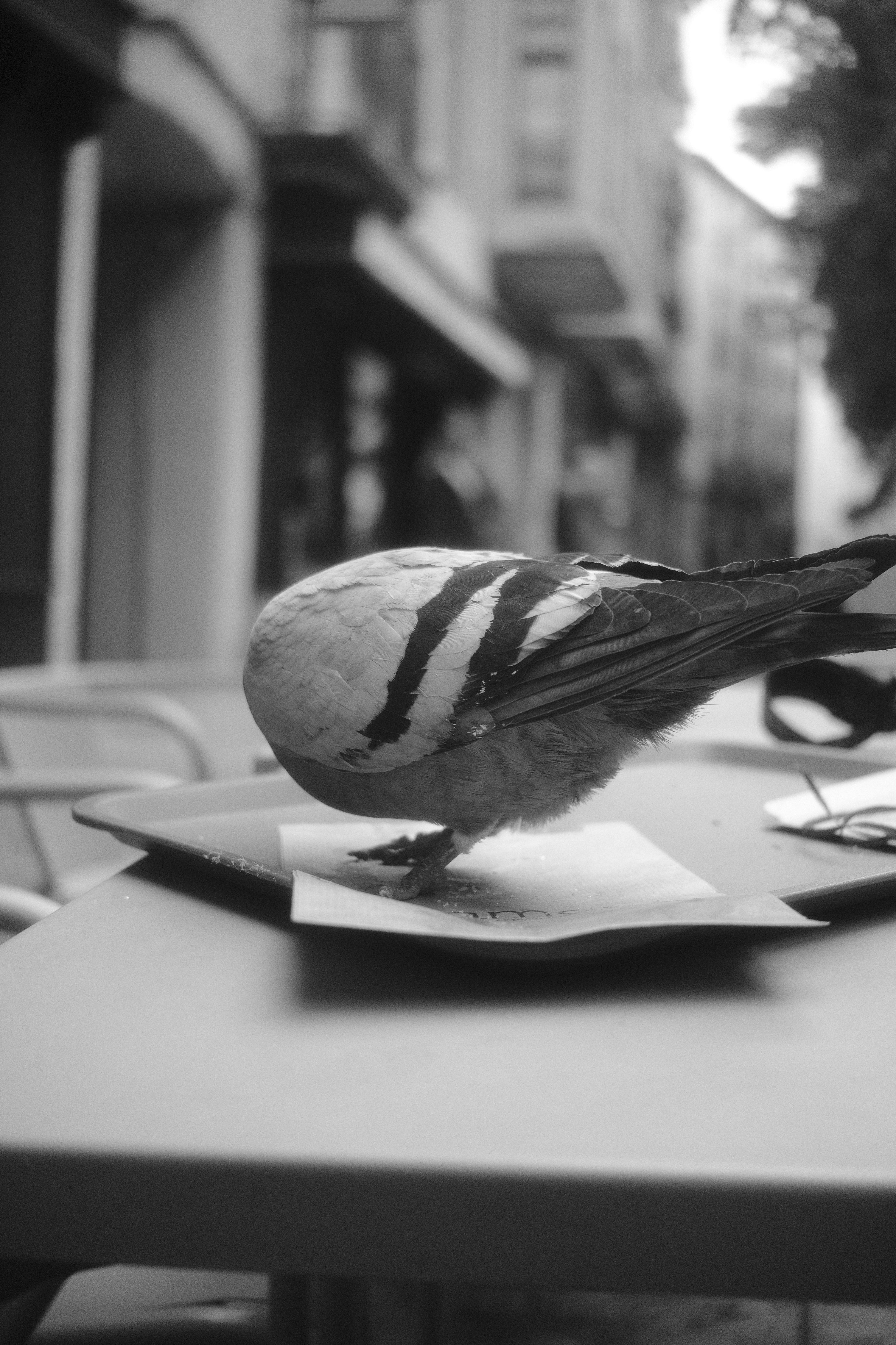 Eating Scene From Venom Photos, Download The BEST Free Eating Scene ...