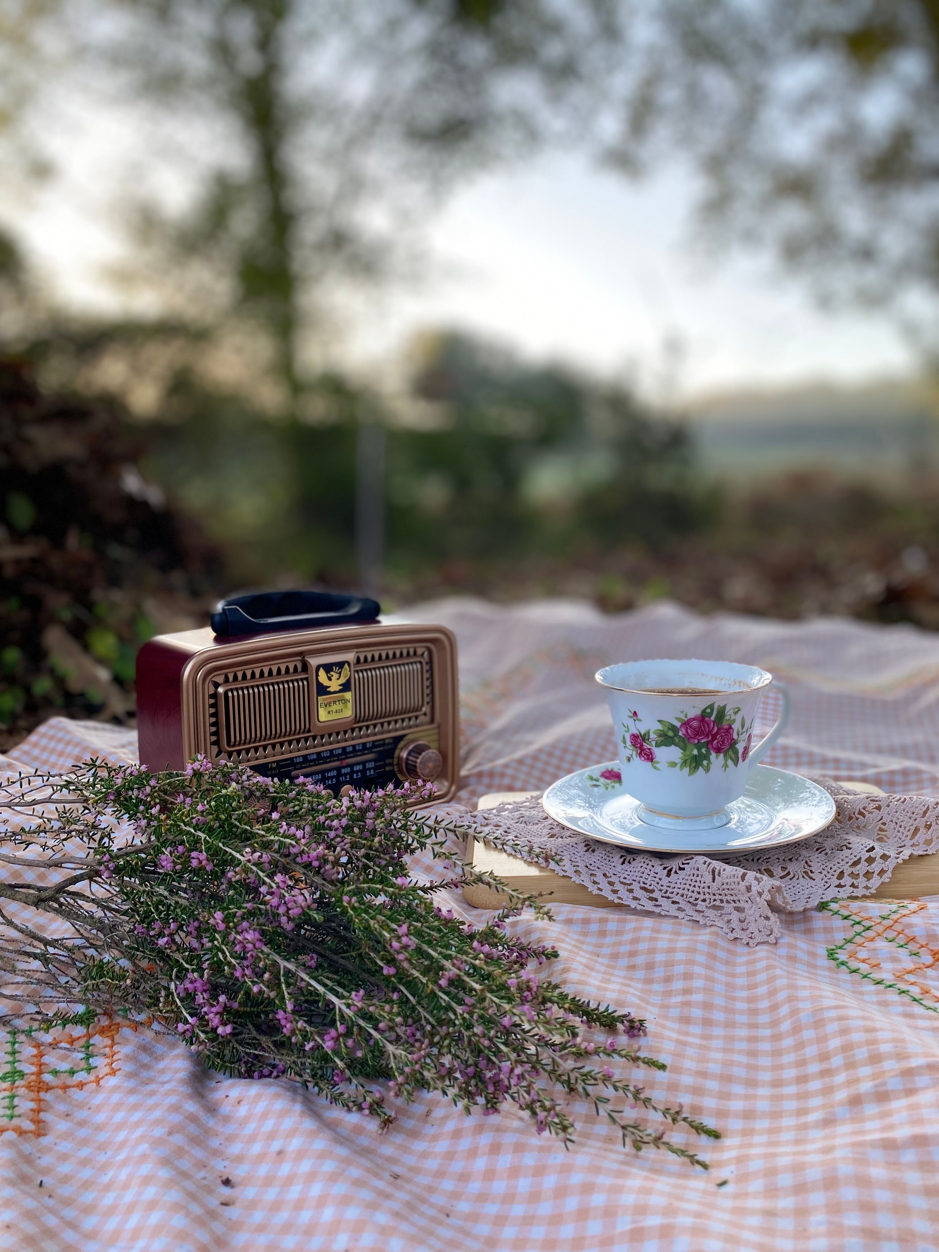 Vintage Radio and Tea Set in Outdoor Picnic Scene · Free Stock Photo