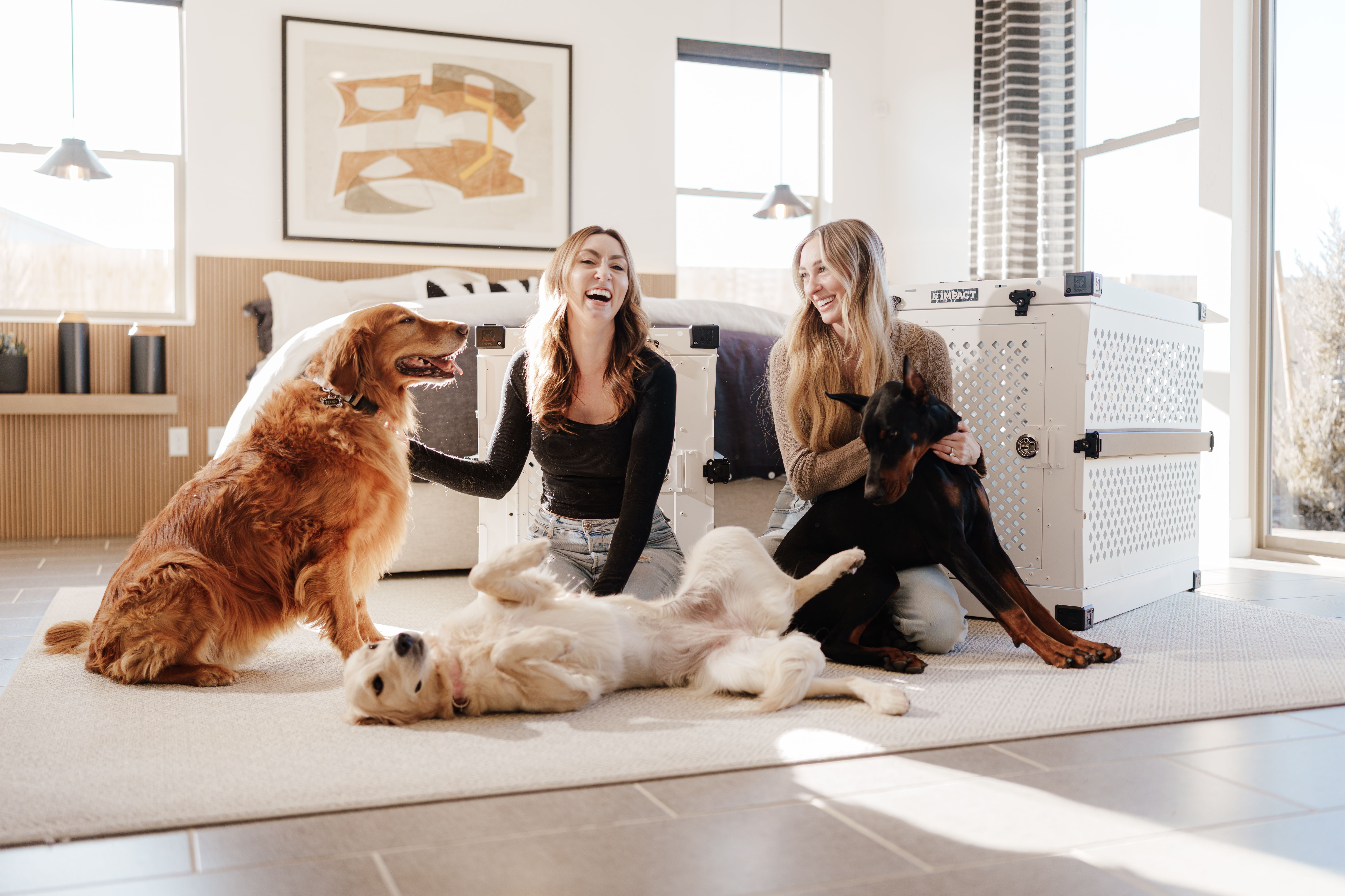 Joyful Women with Dogs in a Stylish Bedroom Setting · Free Stock Photo