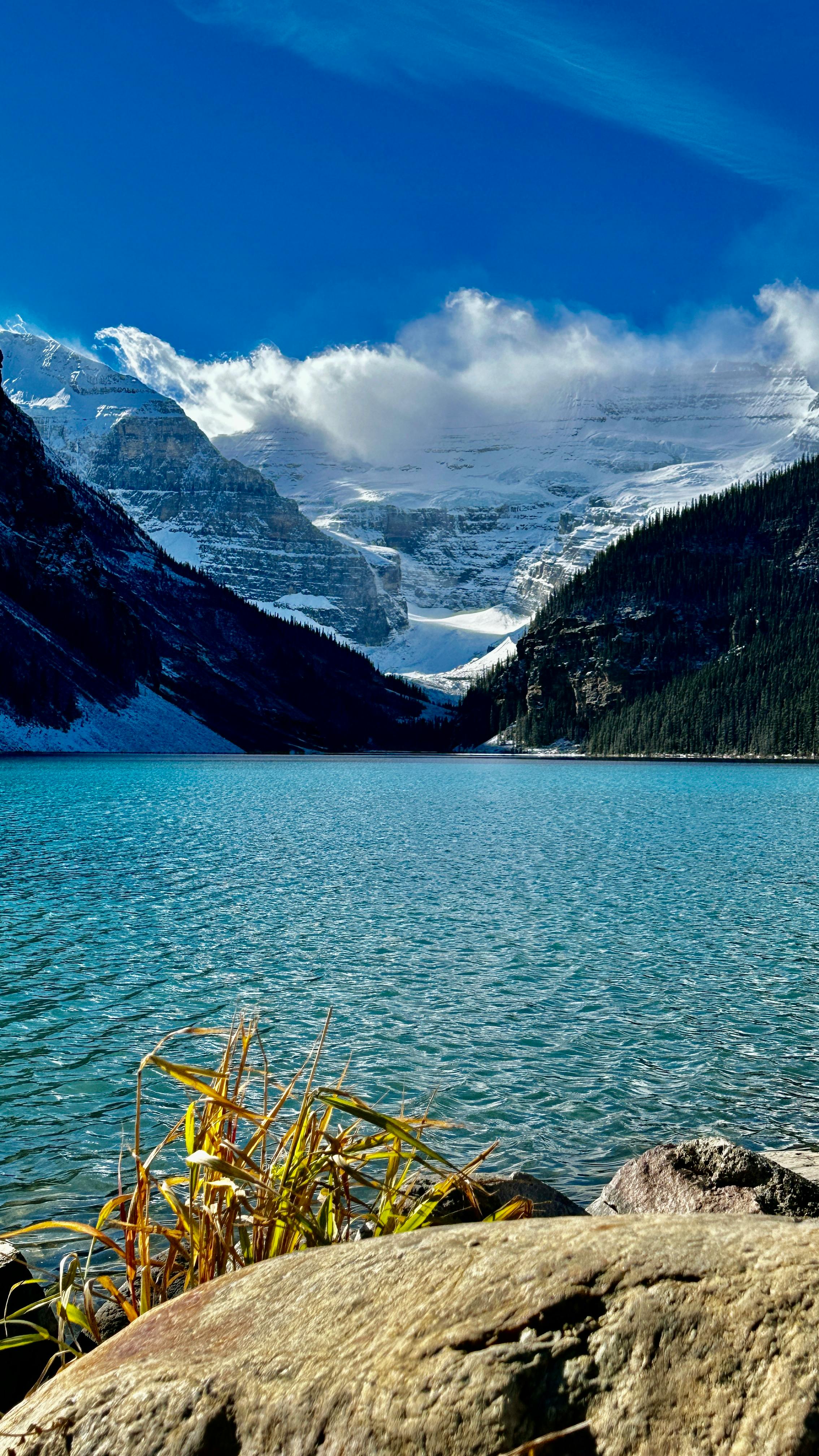 Scenic View of Lake Louise in Banff National Park · Free Stock Photo