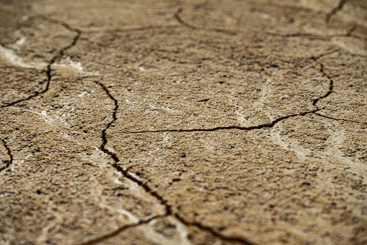 Ground Texture Photos, Download The BEST Free Ground Texture Stock ...