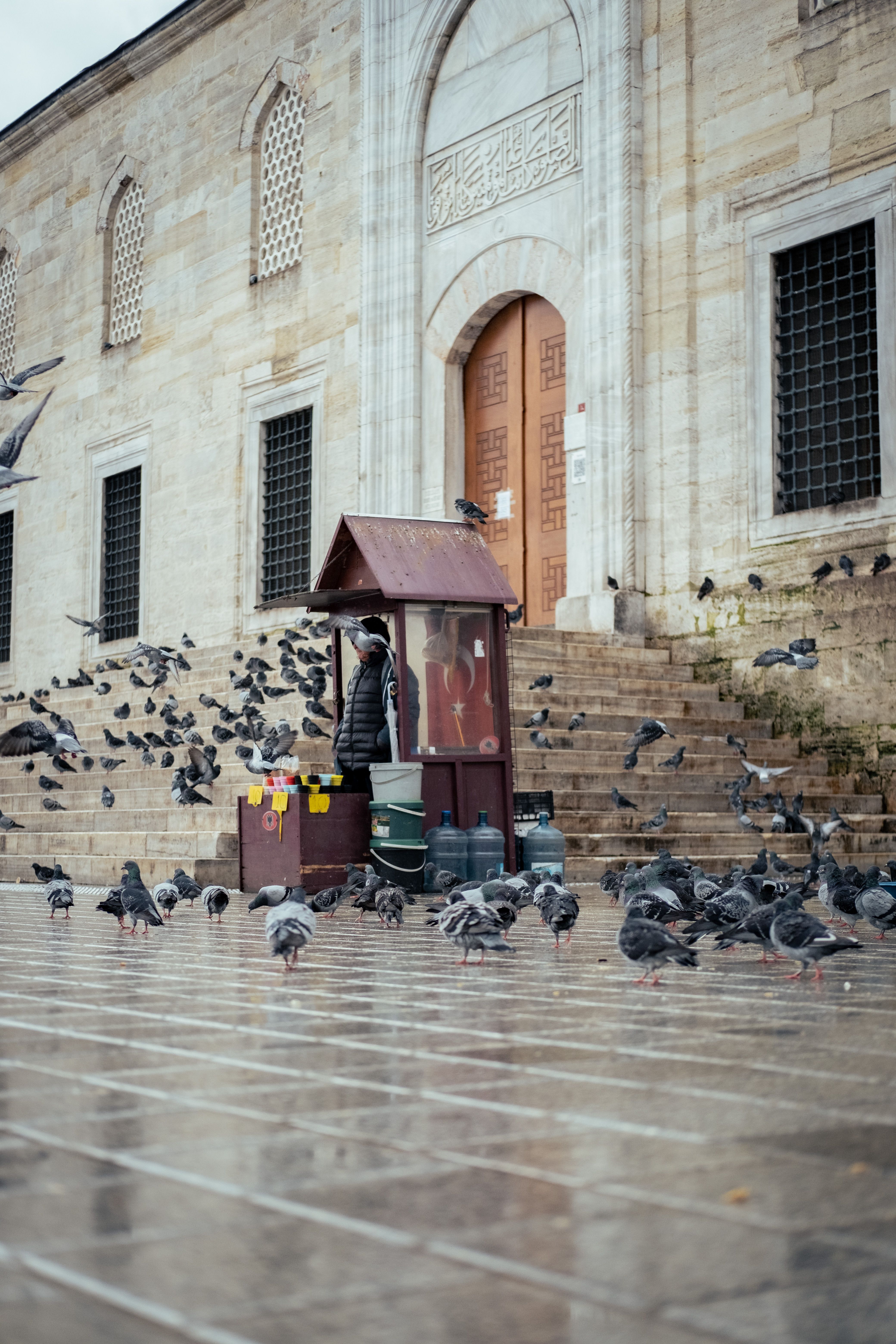 Coping With Rain Photos, Download The BEST Free Coping With Rain Stock ...