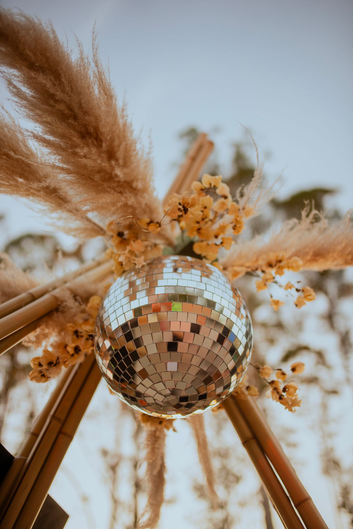 Party Decor Photos, Download The BEST Free Party Decor Stock Photos ...