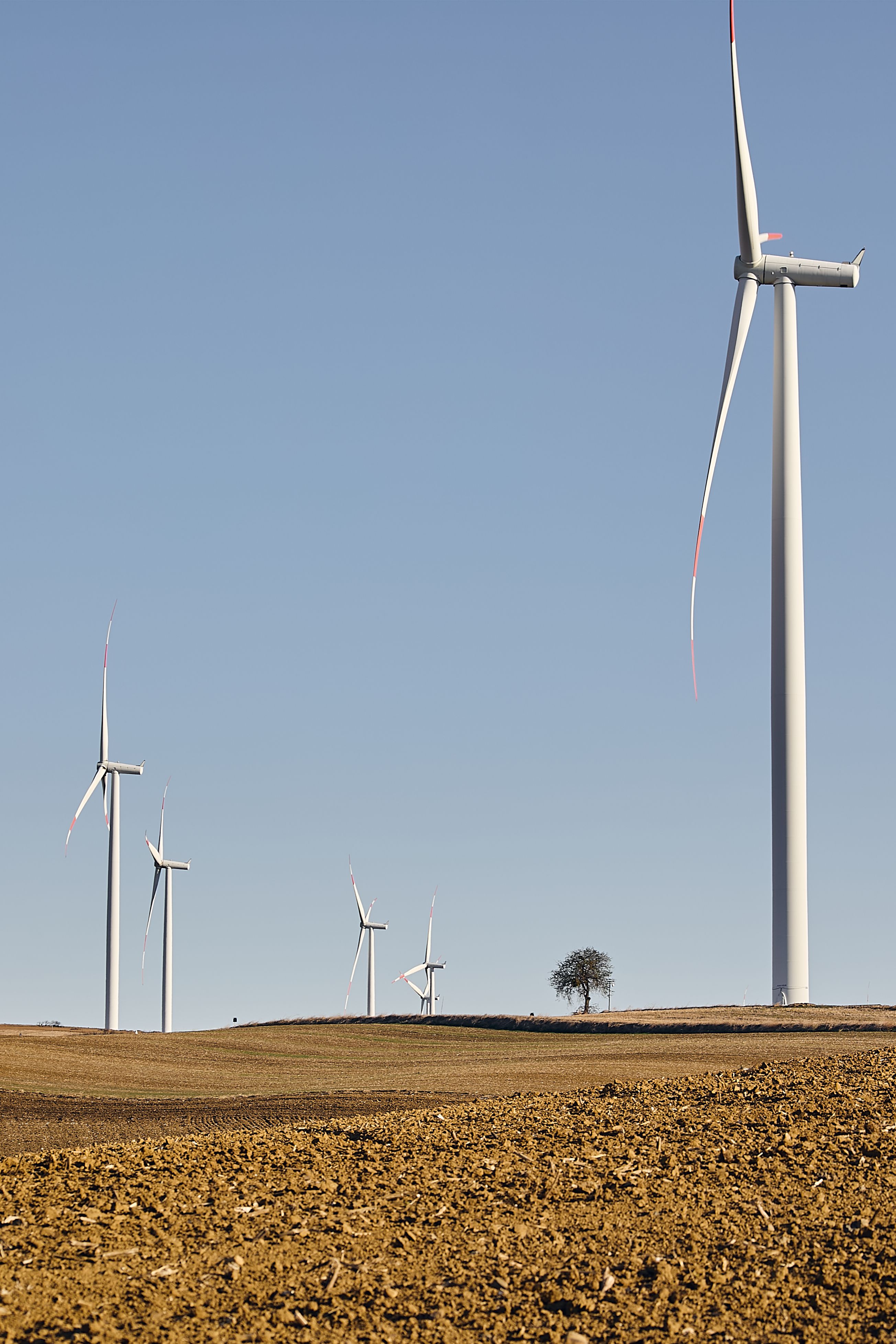 Wind Turbines on a Summer Landscape · Free Stock Photo