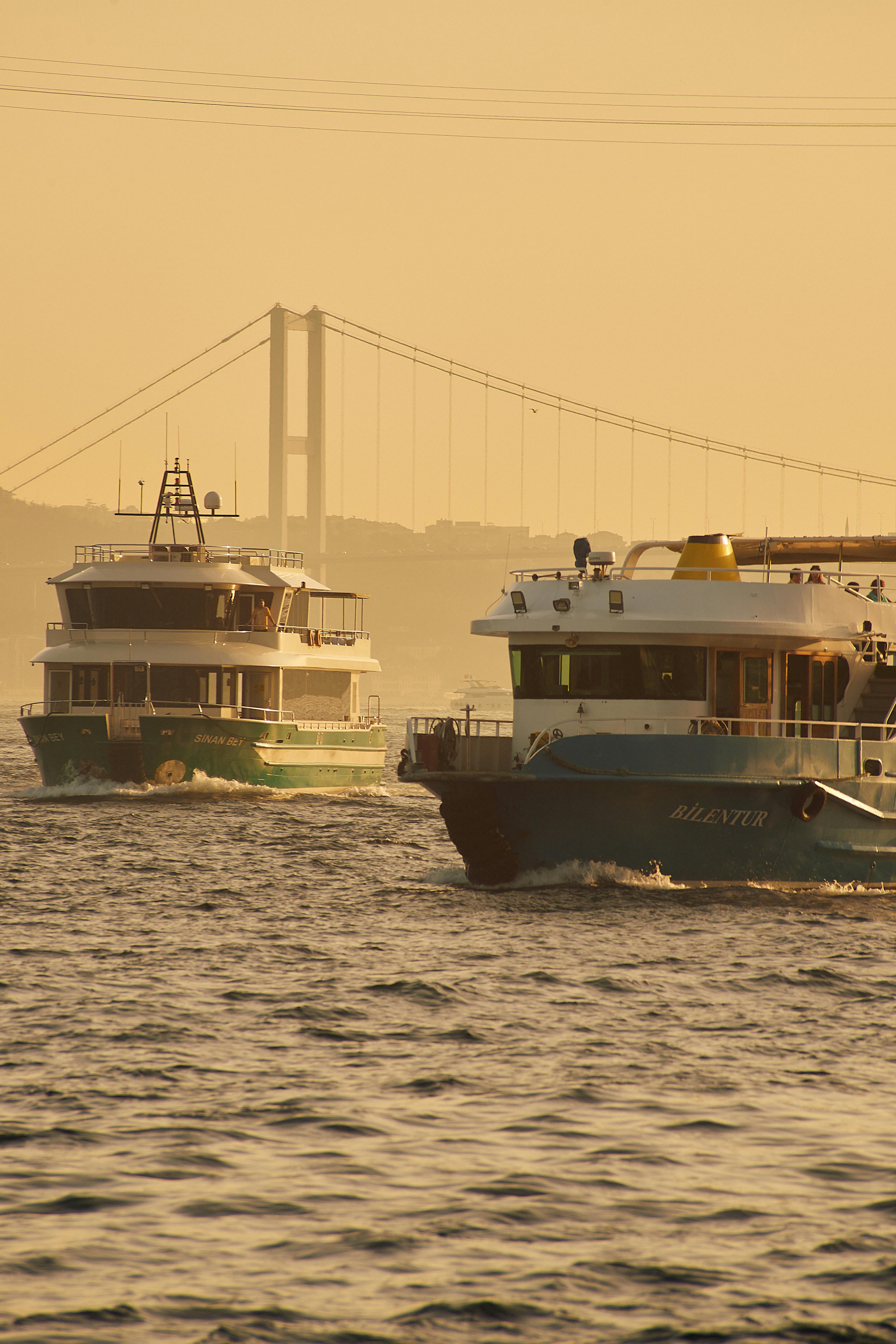 Mar Profundo Photos, Download The BEST Free Mar Profundo Stock Photos ...