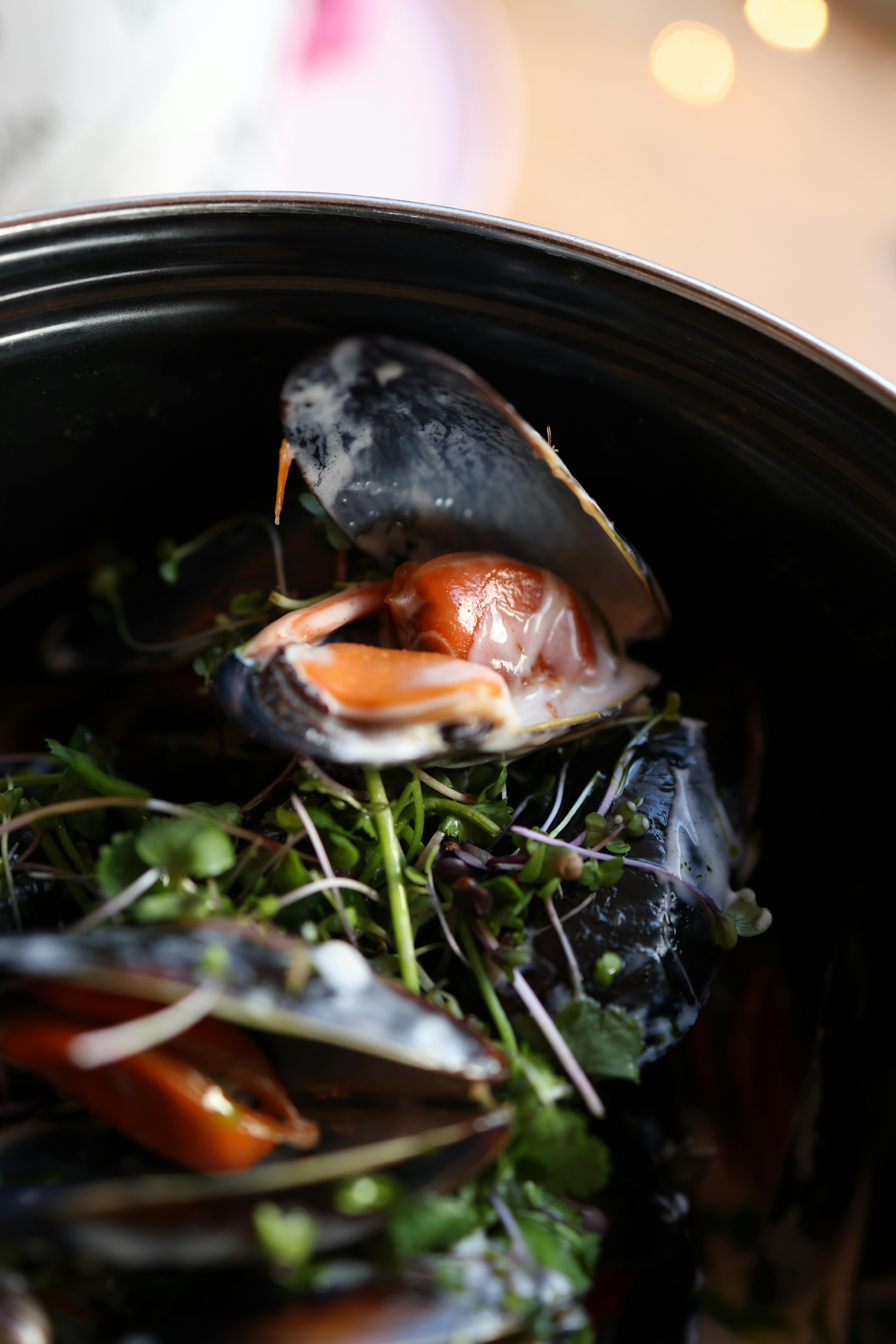 Freshly Cooked Mussels with Herbs in Black Bowl · Free Stock Photo