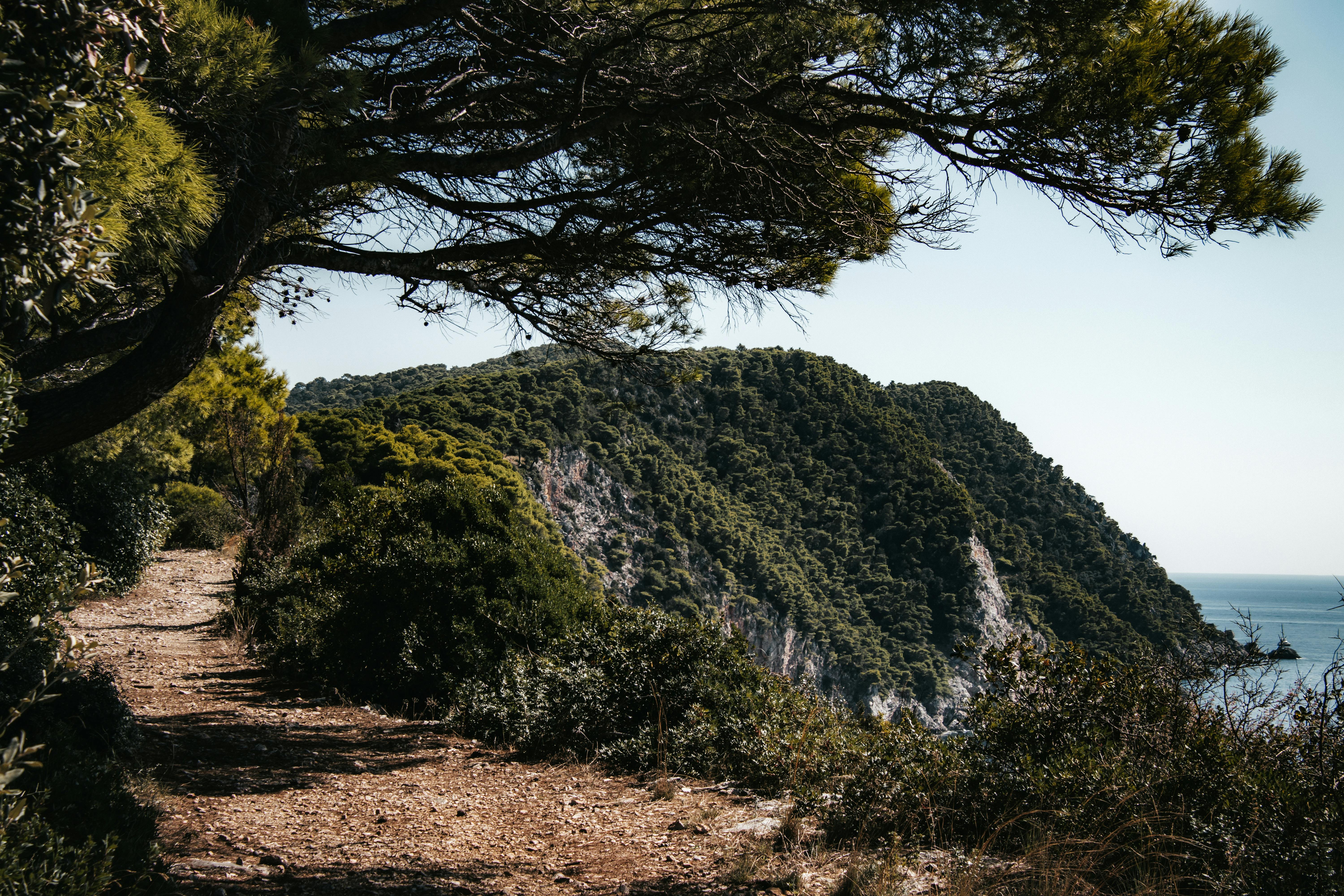 Ruta Panorámica Costera En La Isla De Lopud, Croacia · Foto de stock ...