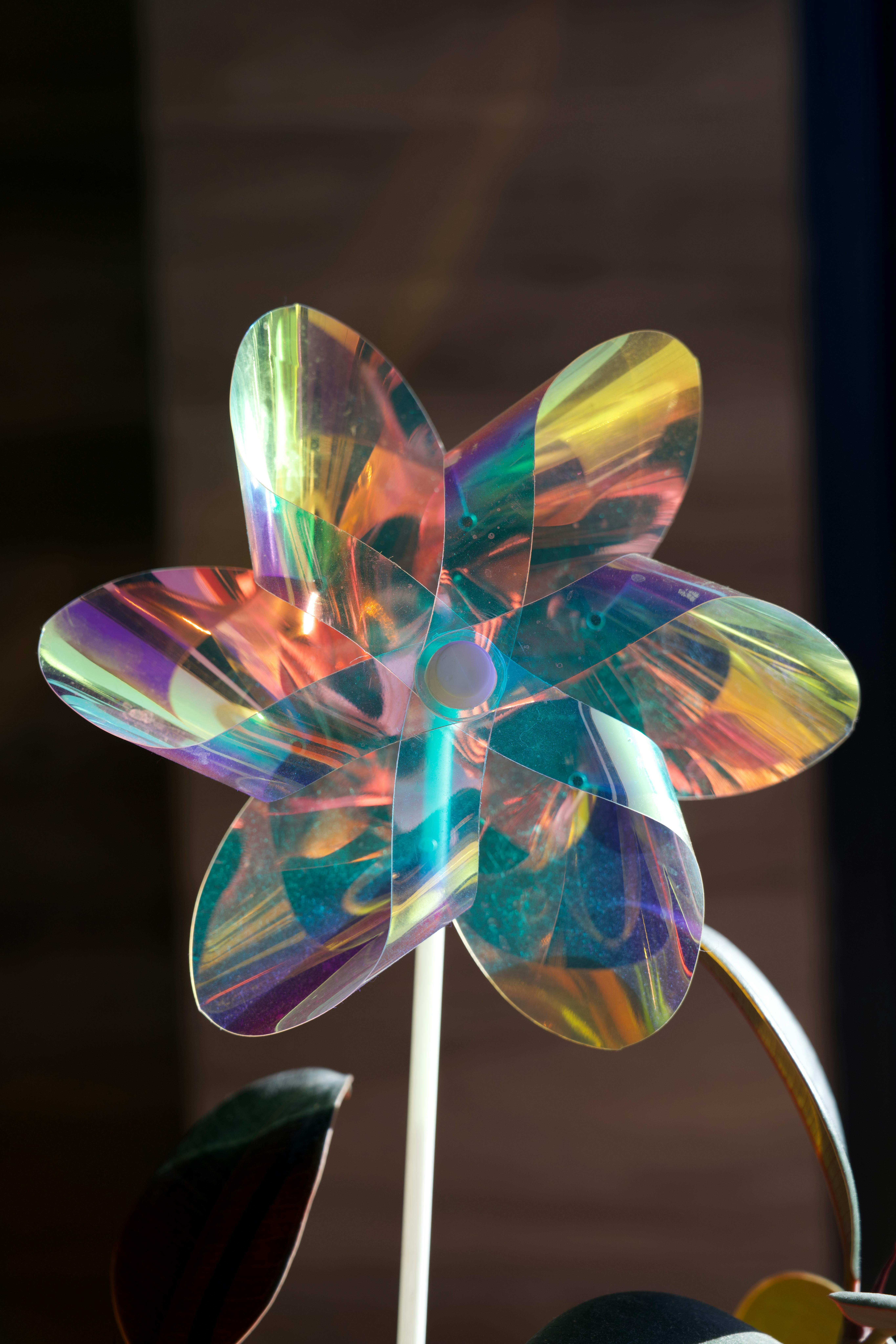 Colorful Iridescent Pinwheel Close-Up Indoors · Free Stock Photo