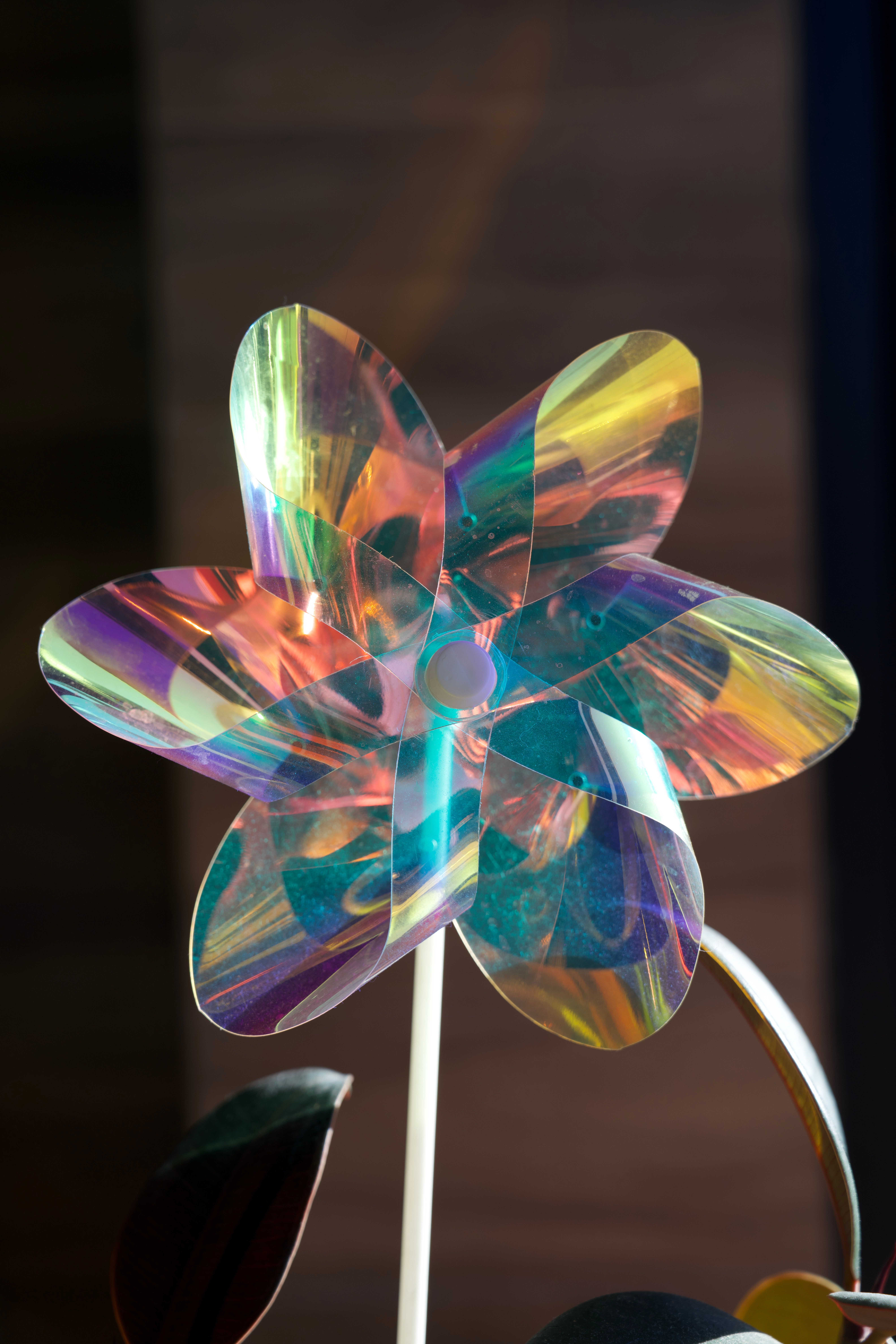 Colorful Iridescent Pinwheel Close-Up Indoors · Free Stock Photo