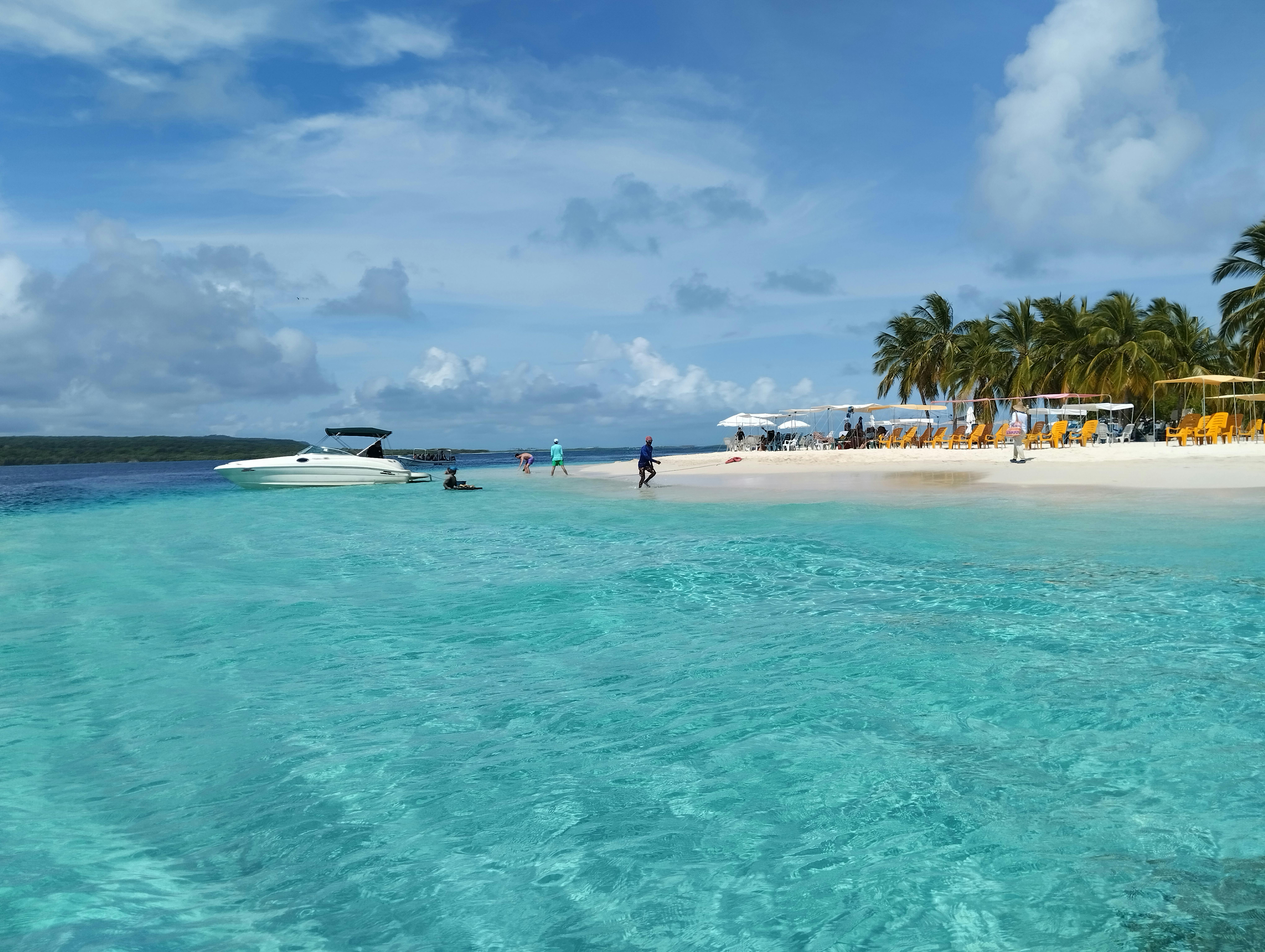 Paraíso Tropical De Praia Na Venezuela · Foto profissional gratuita