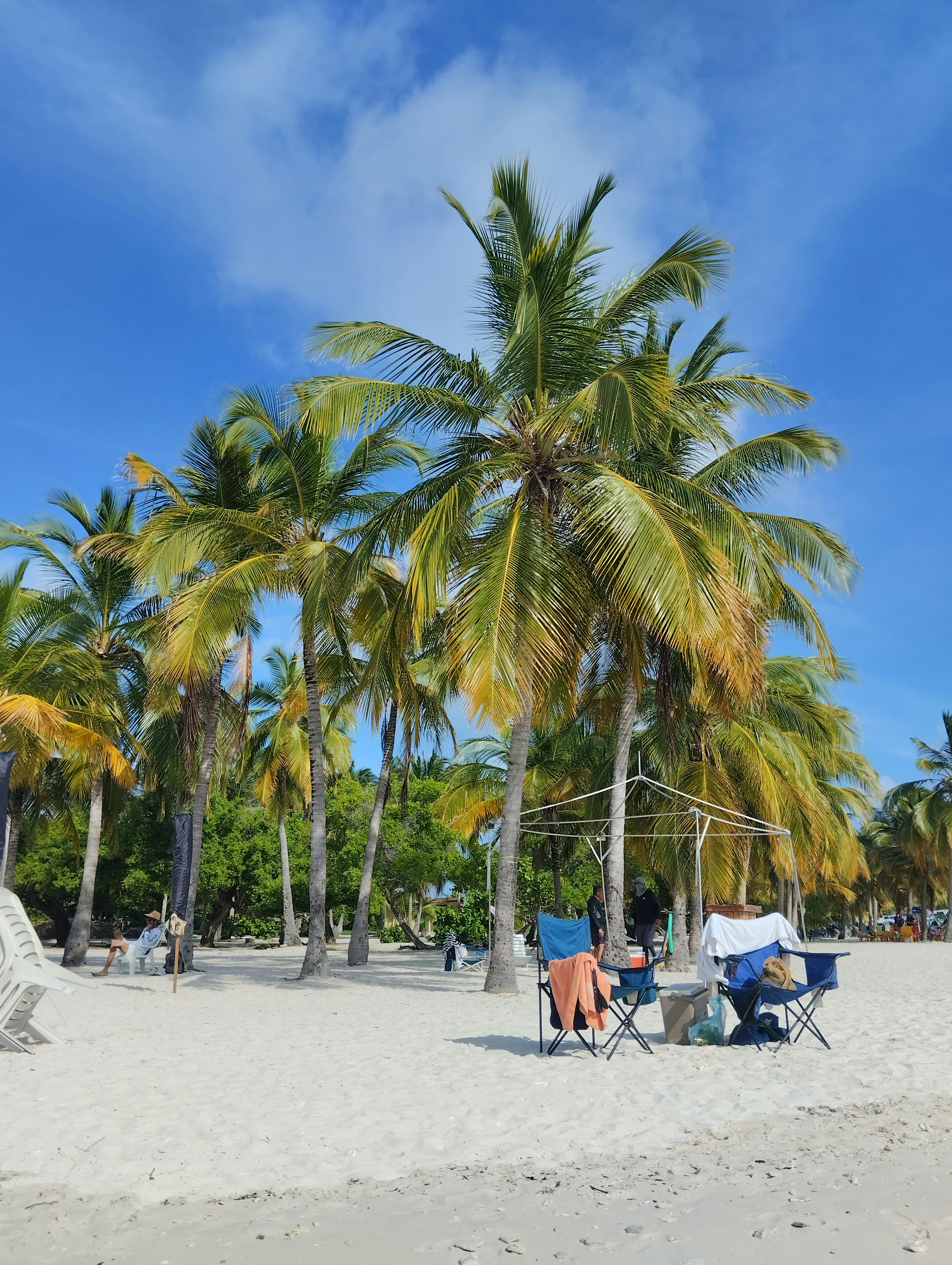 Tropical Beach Scene in Tucacas, Venezuela · Free Stock Photo