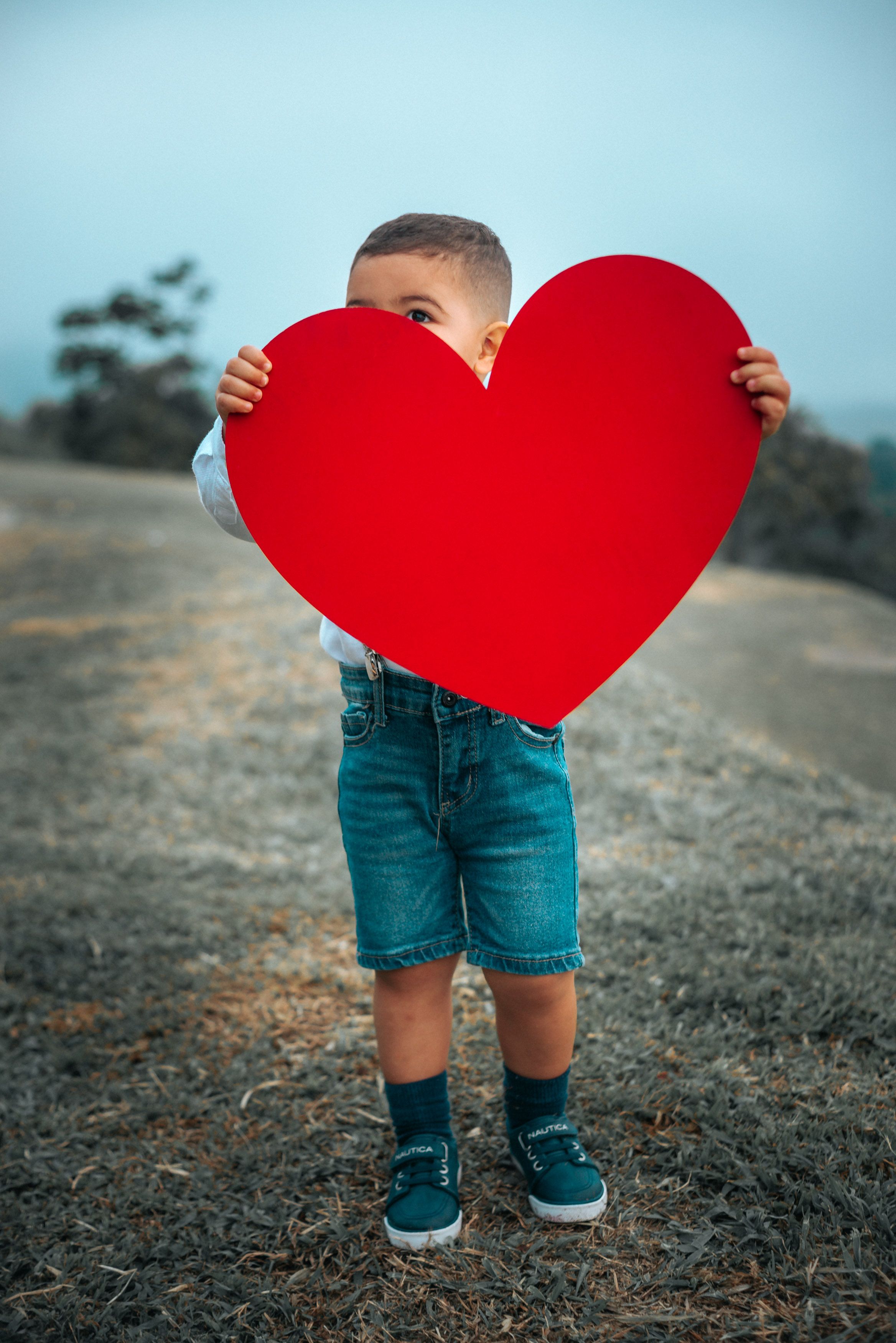 Big Heart Photos, Download The BEST Free Big Heart Stock Photos & HD Images