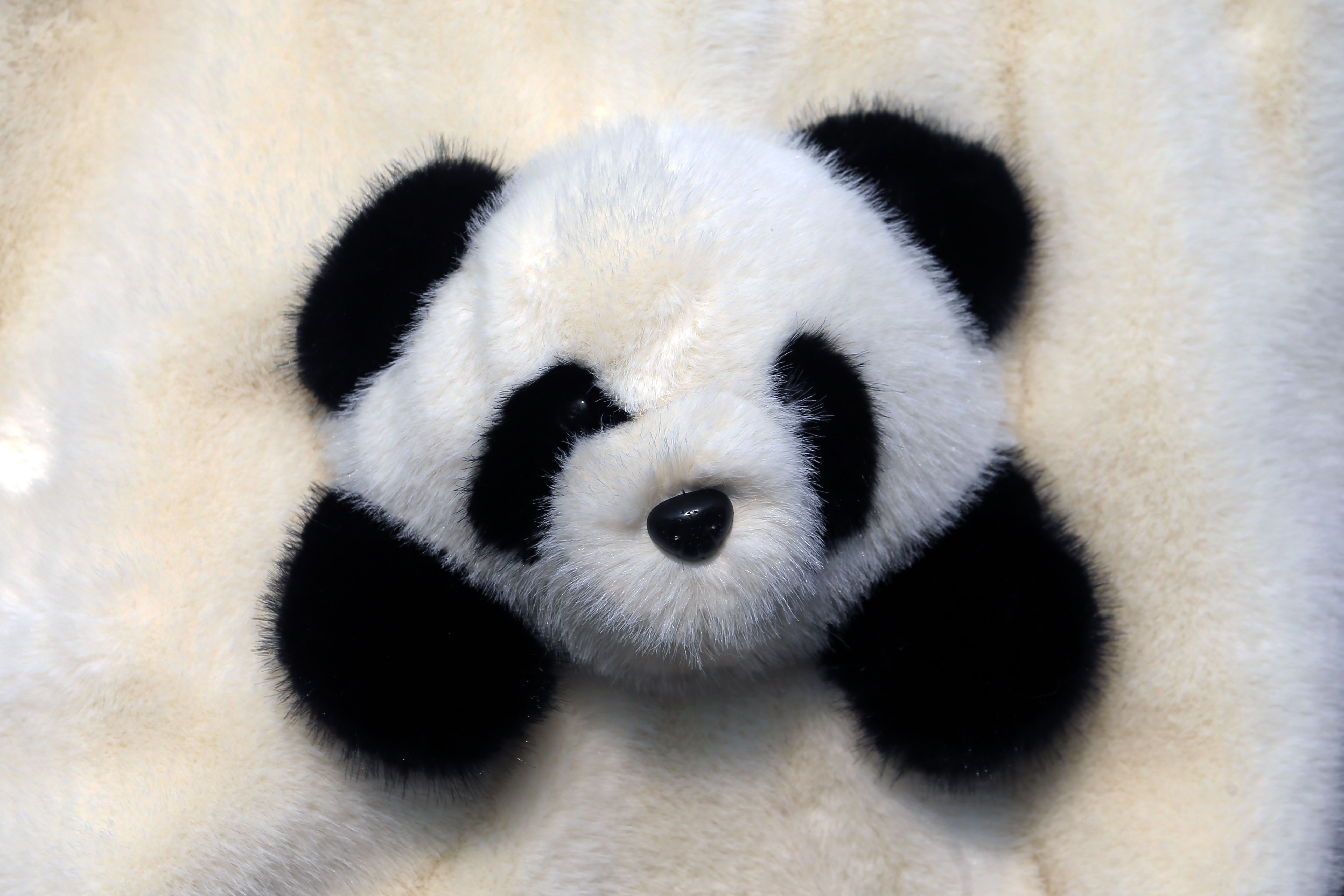 Animation Time Photos, Download The BEST Free Animation Time Stock ...