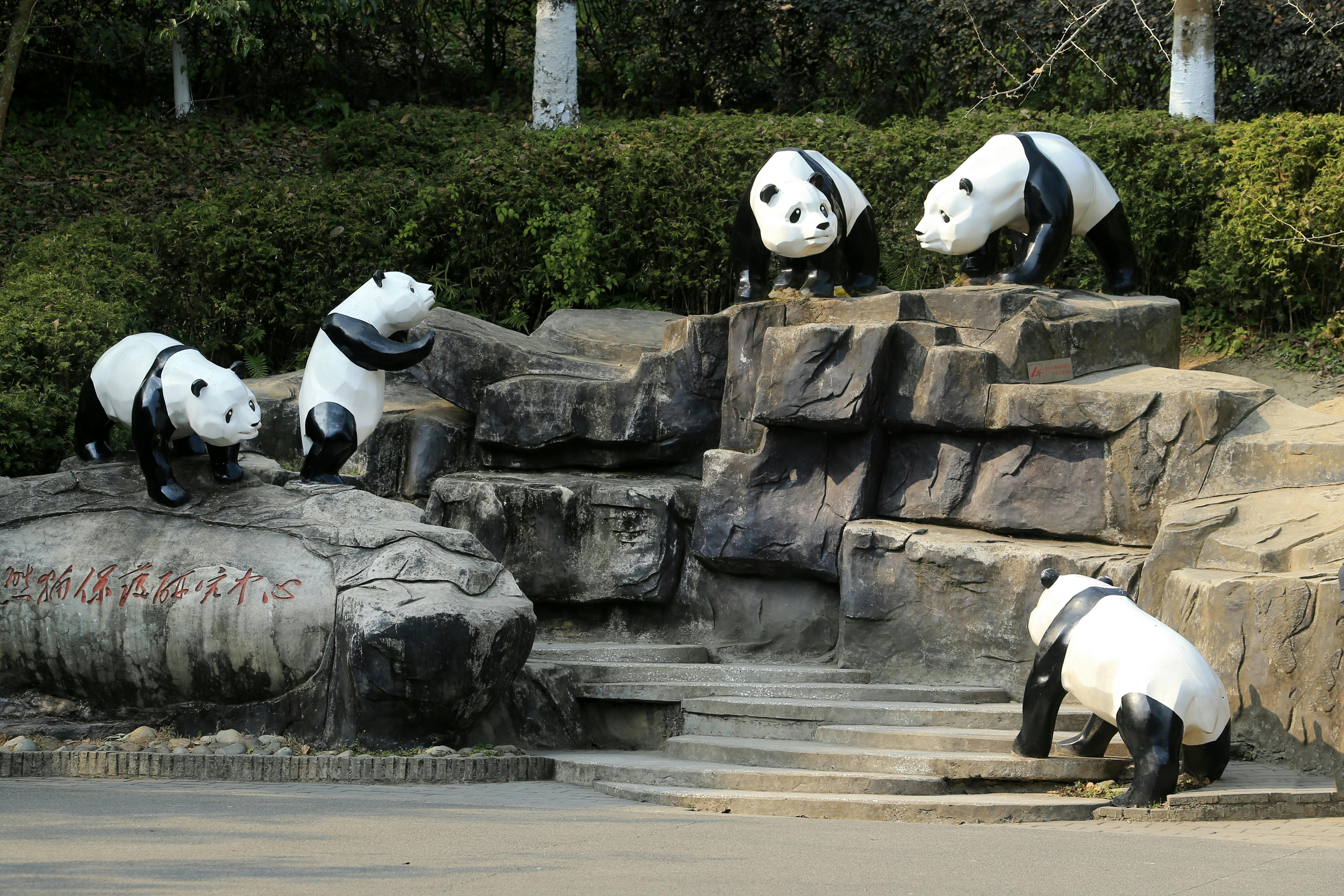 Patung Panda Yang Mirip Dengan Manusia Di Luar Ruangan · Foto Stok Gratis