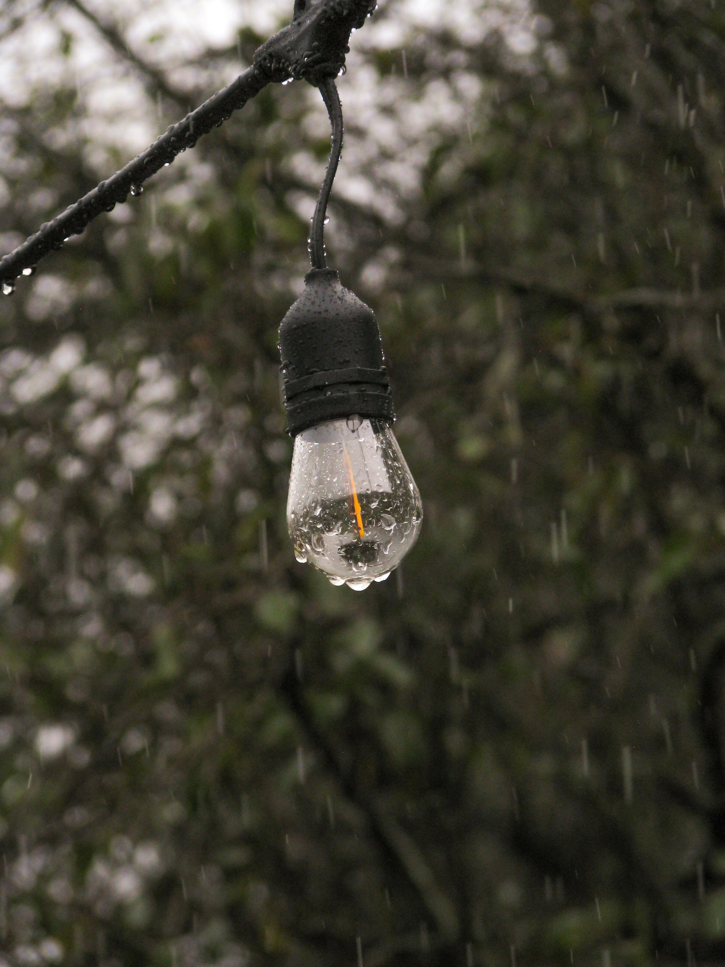 Moody Raindrop-Covered Light Bulb Outdoors · Free Stock Photo