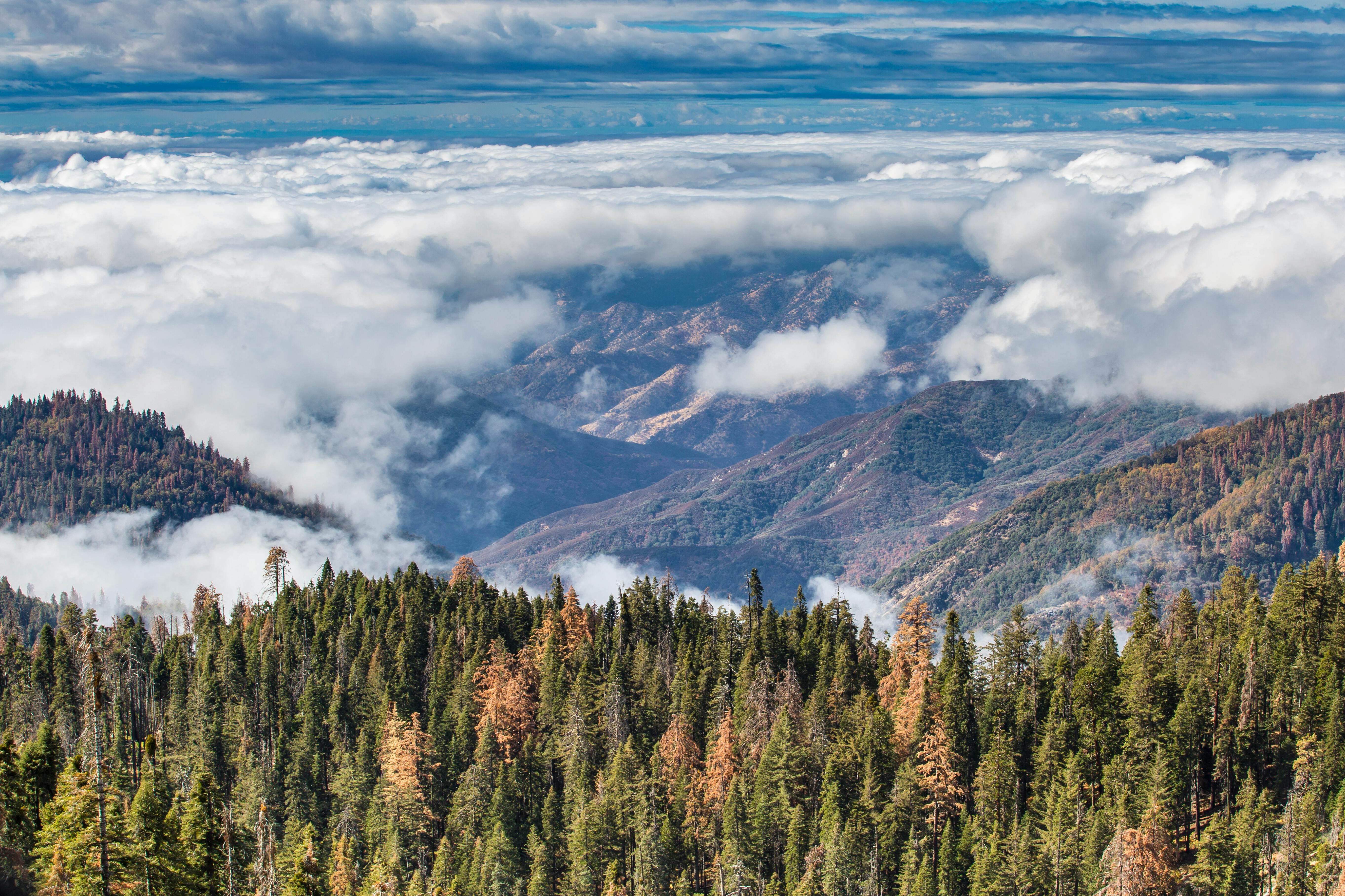 Breathtaking Mountain View Above the Clouds · Free Stock Photo