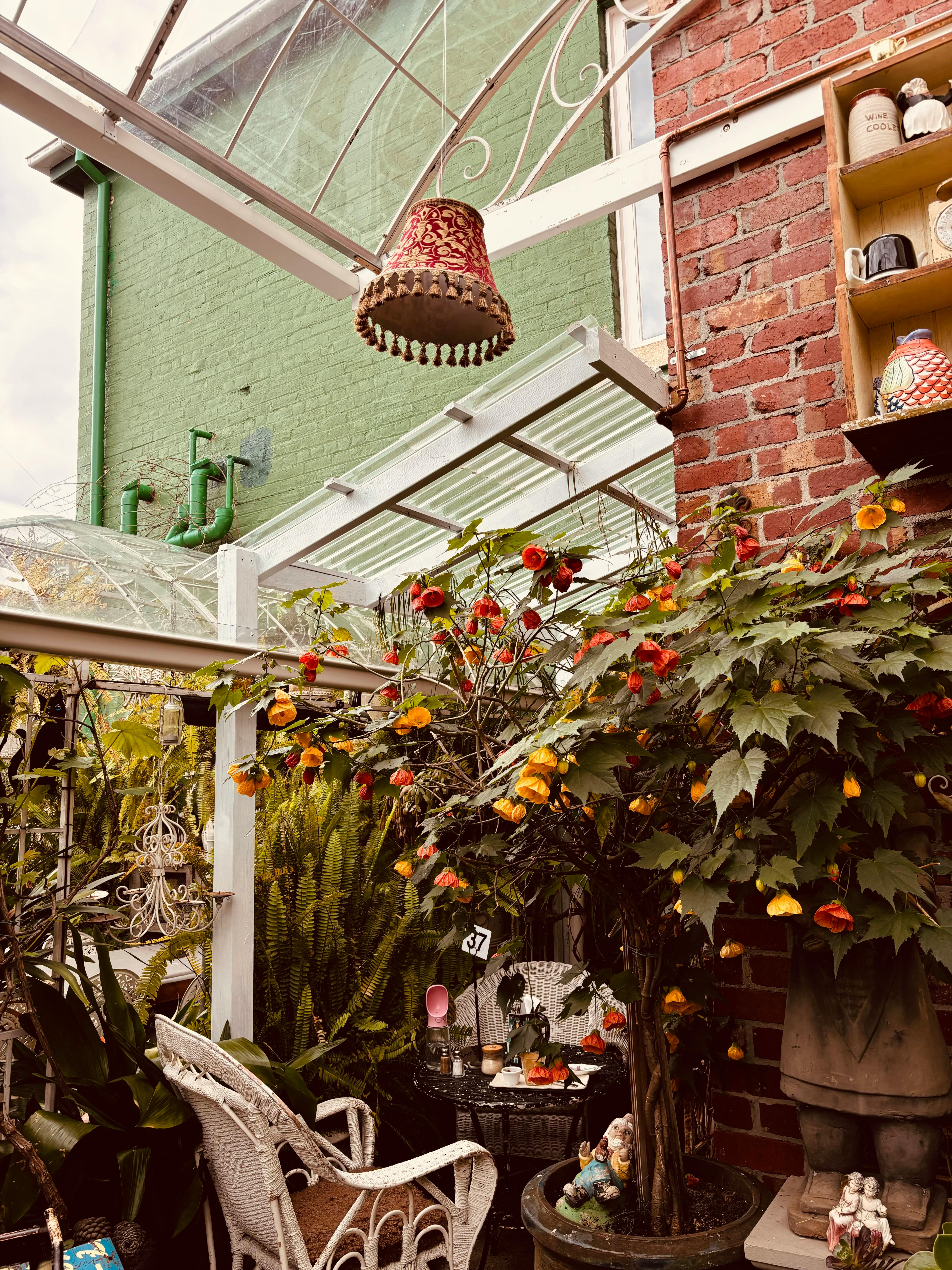 Charming Indoor Conservatory Filled with Plants · Free Stock Photo