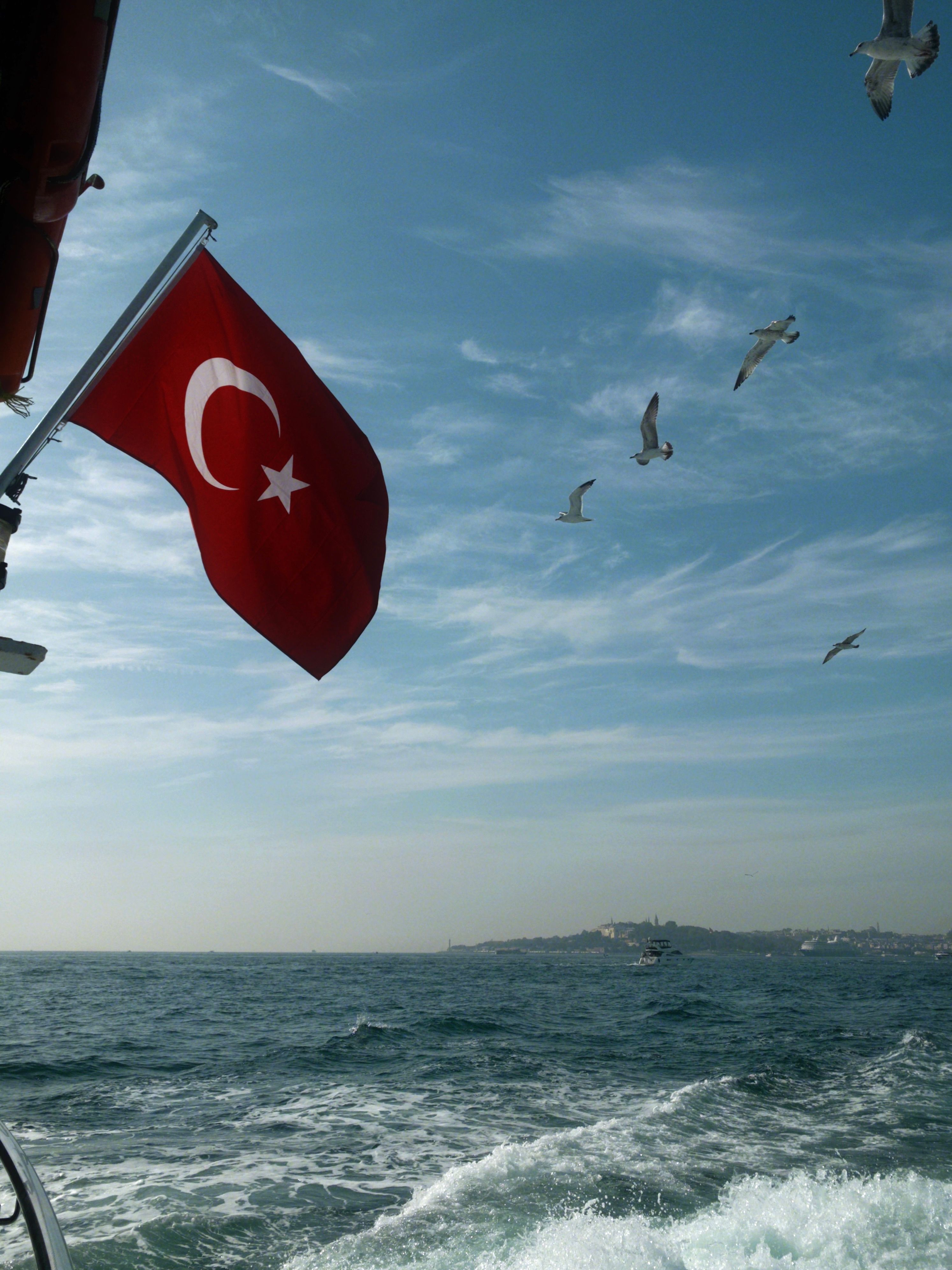 Turkey Flag Photos, Download The BEST Free Turkey Flag Stock Photos ...