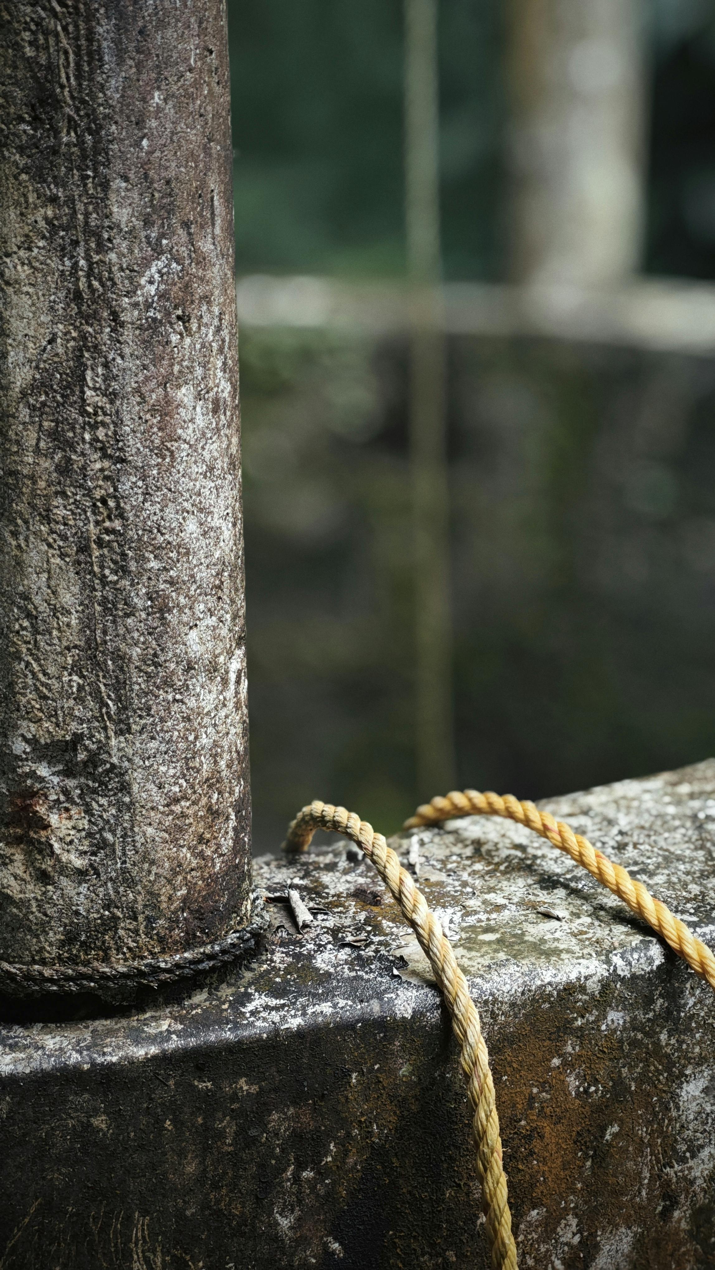 Weathered Well with Rope and Moss Detail · Free Stock Photo