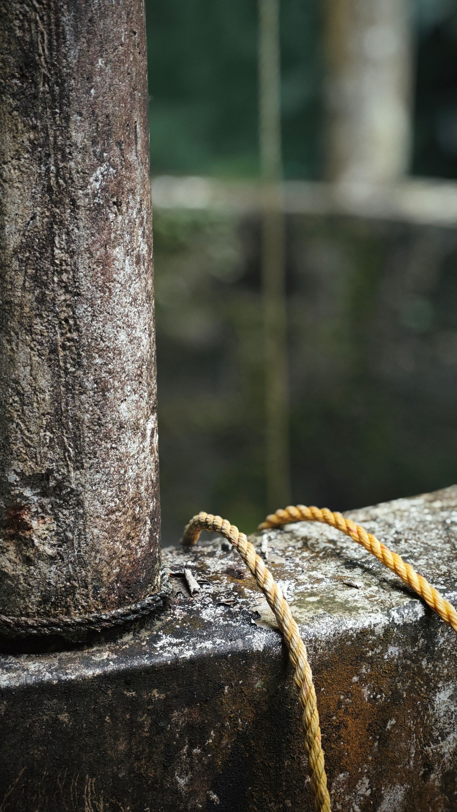 Water Well Photos, Download The BEST Free Water Well Stock Photos & HD ...