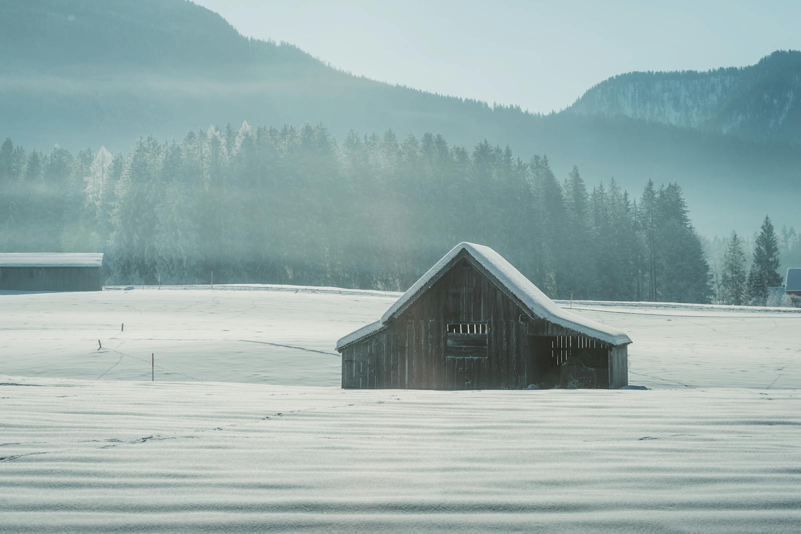 Barn Images Photos, Download The BEST Free Barn Images Stock Photos ...