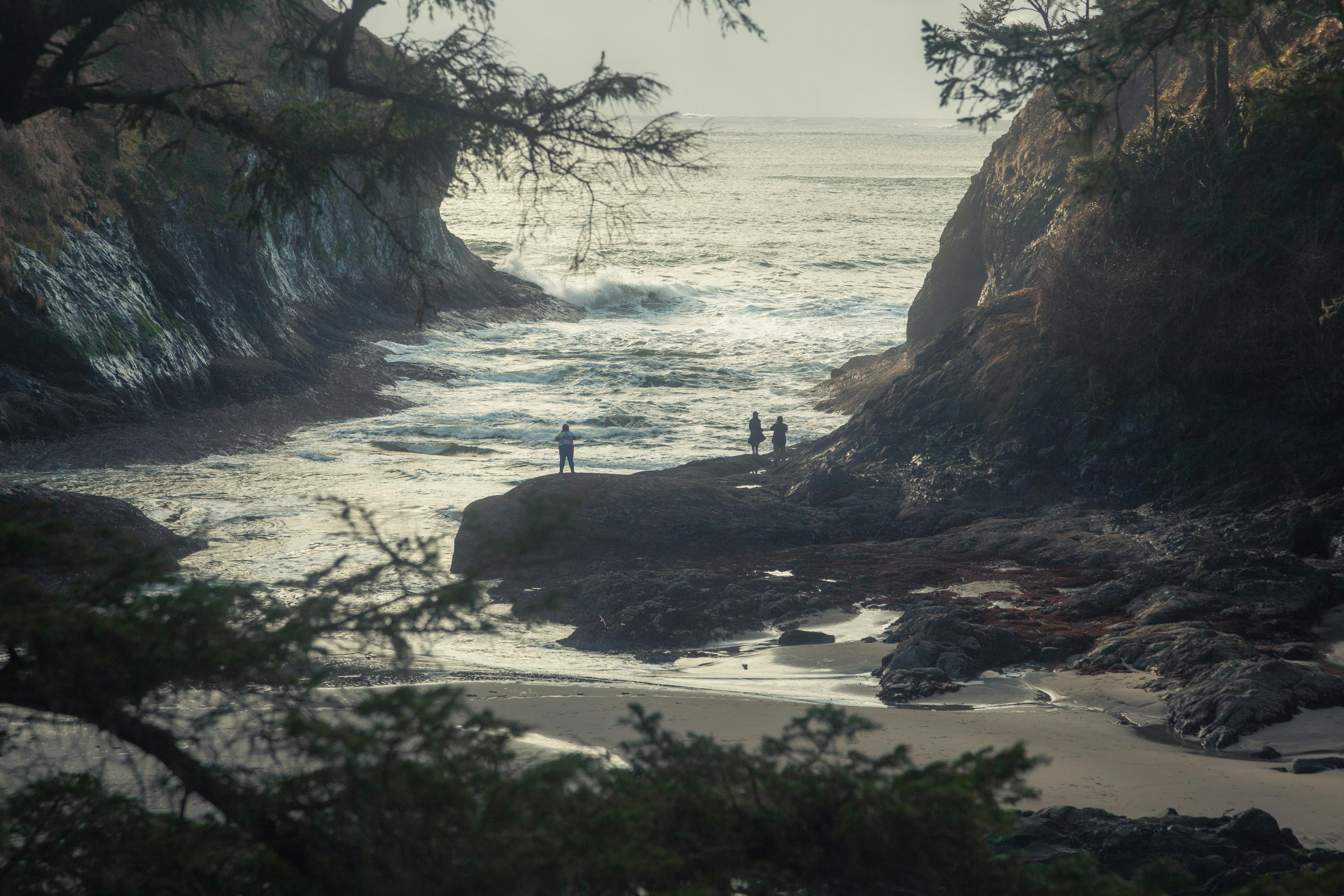 Tree Between Two Cliffs Photos, Download The BEST Free Tree Between Two ...