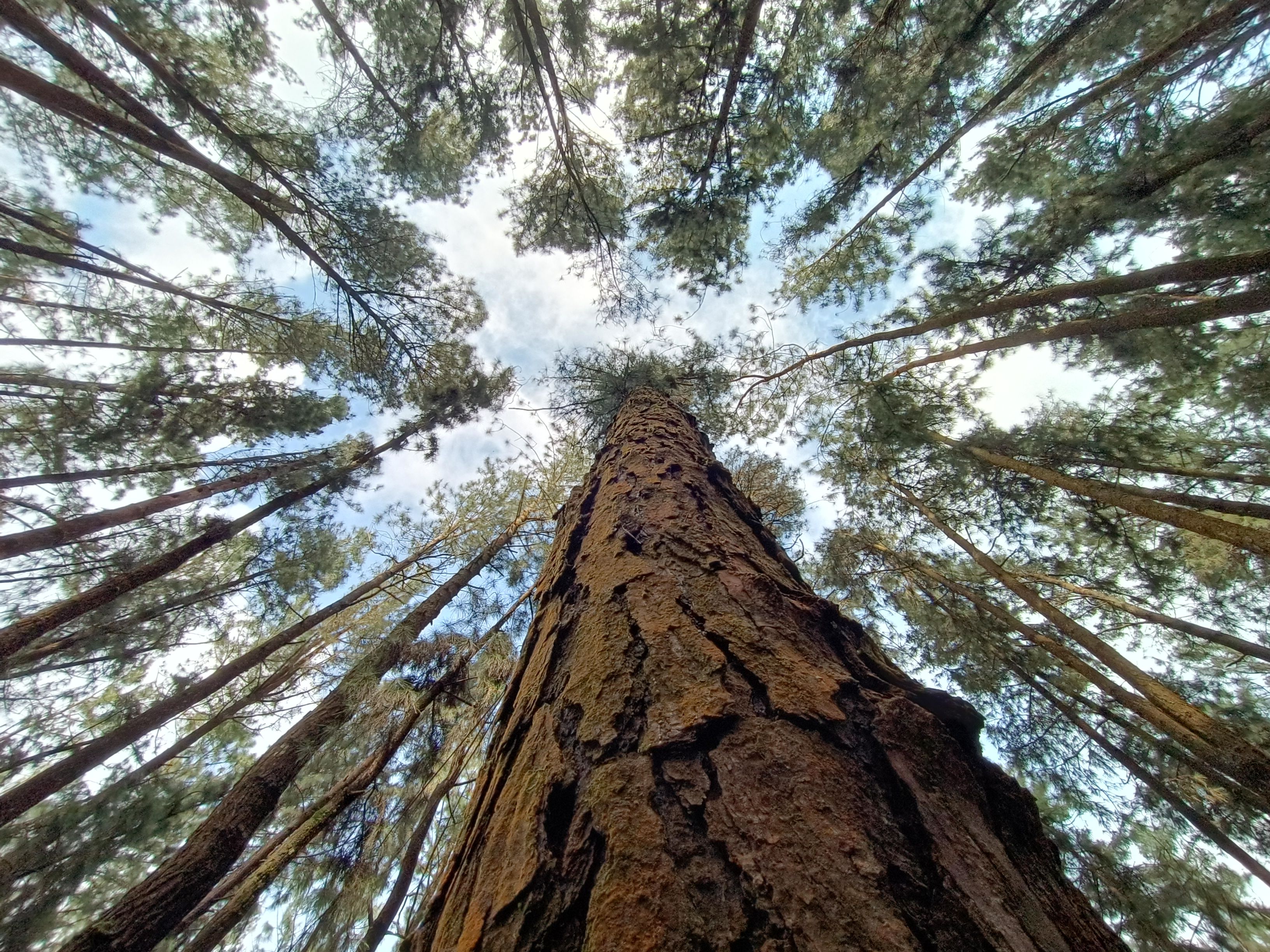 Vertical Earth Photos, Download The BEST Free Vertical Earth Stock ...