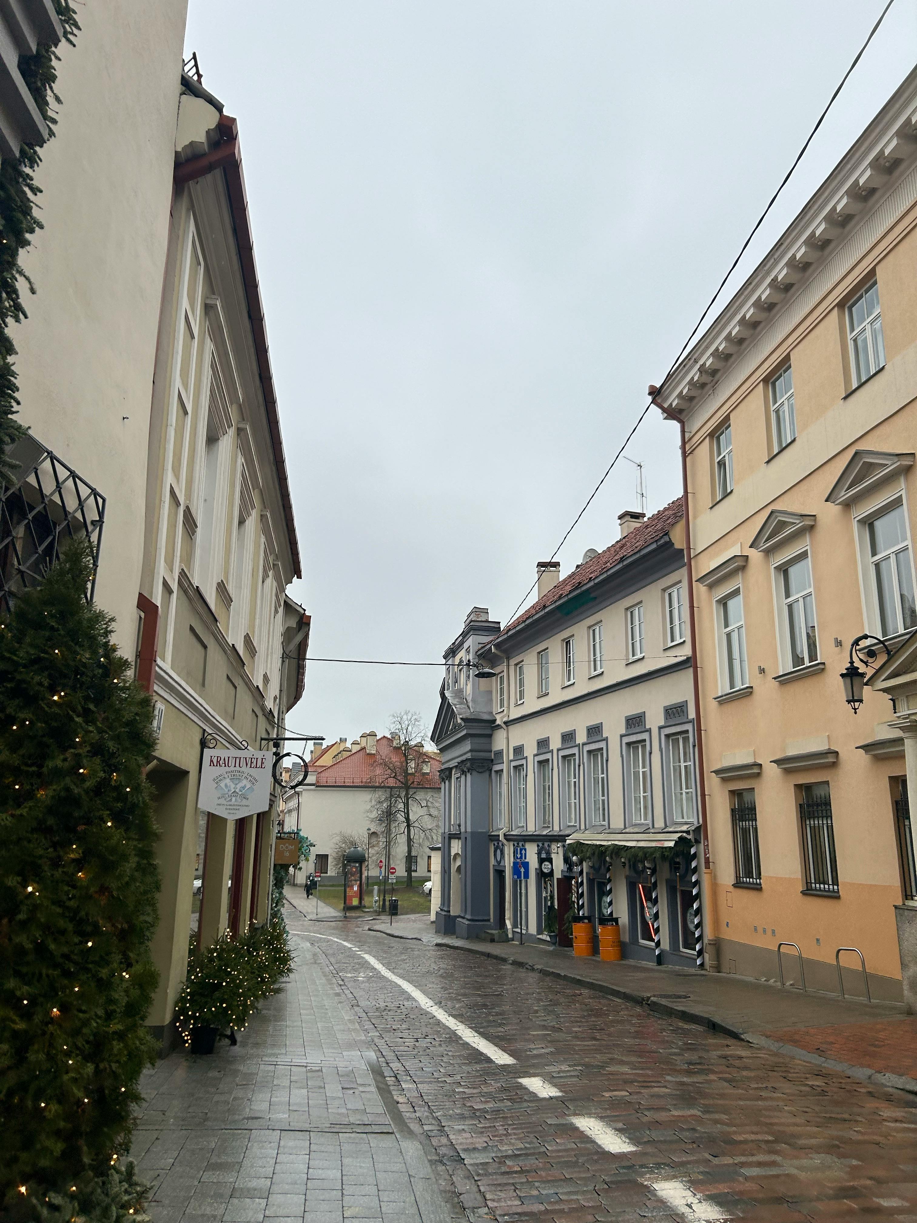 Winter Gloom Photos, Download The BEST Free Winter Gloom Stock Photos ...