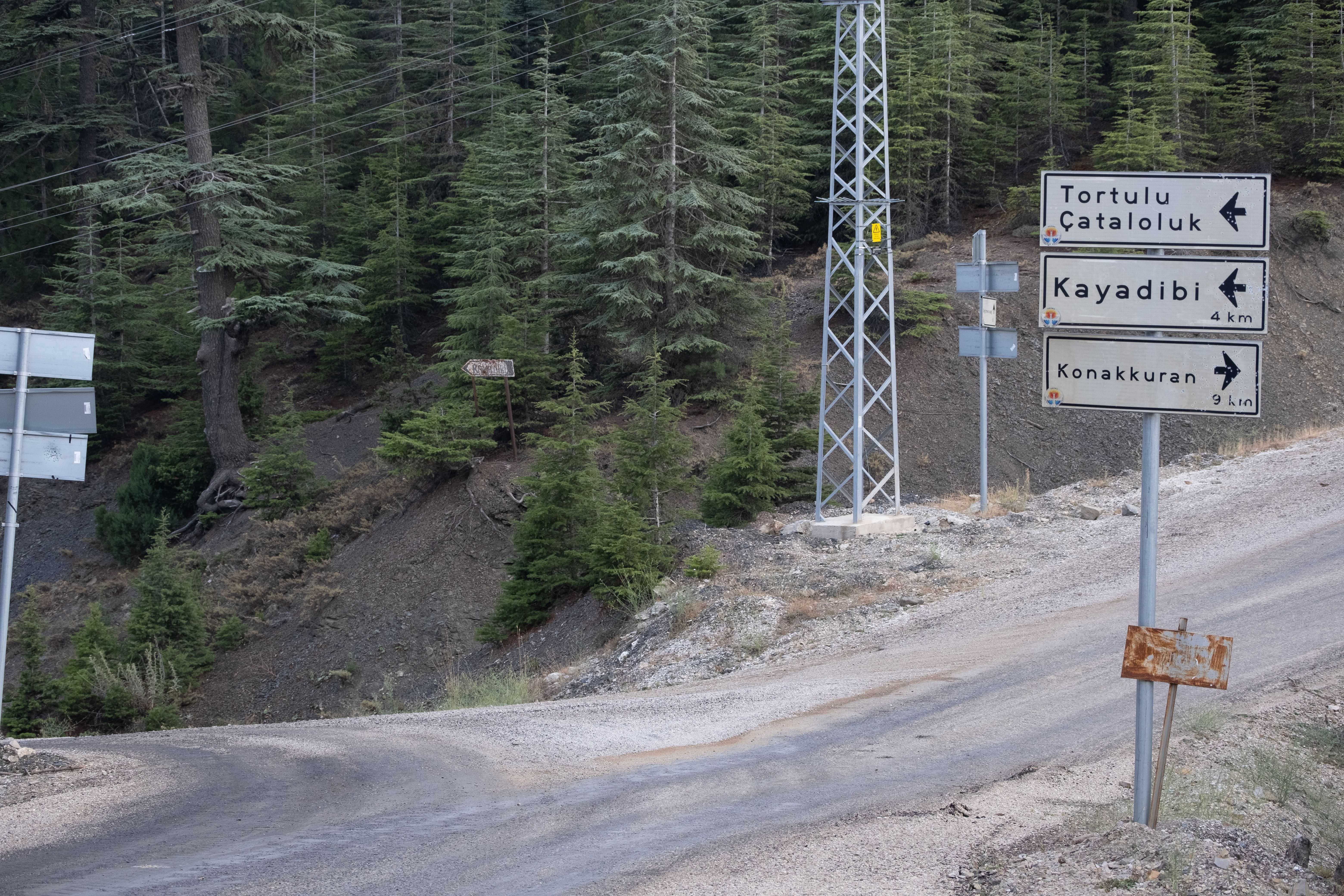 Mountain Road Signs in Forested Area · Free Stock Photo