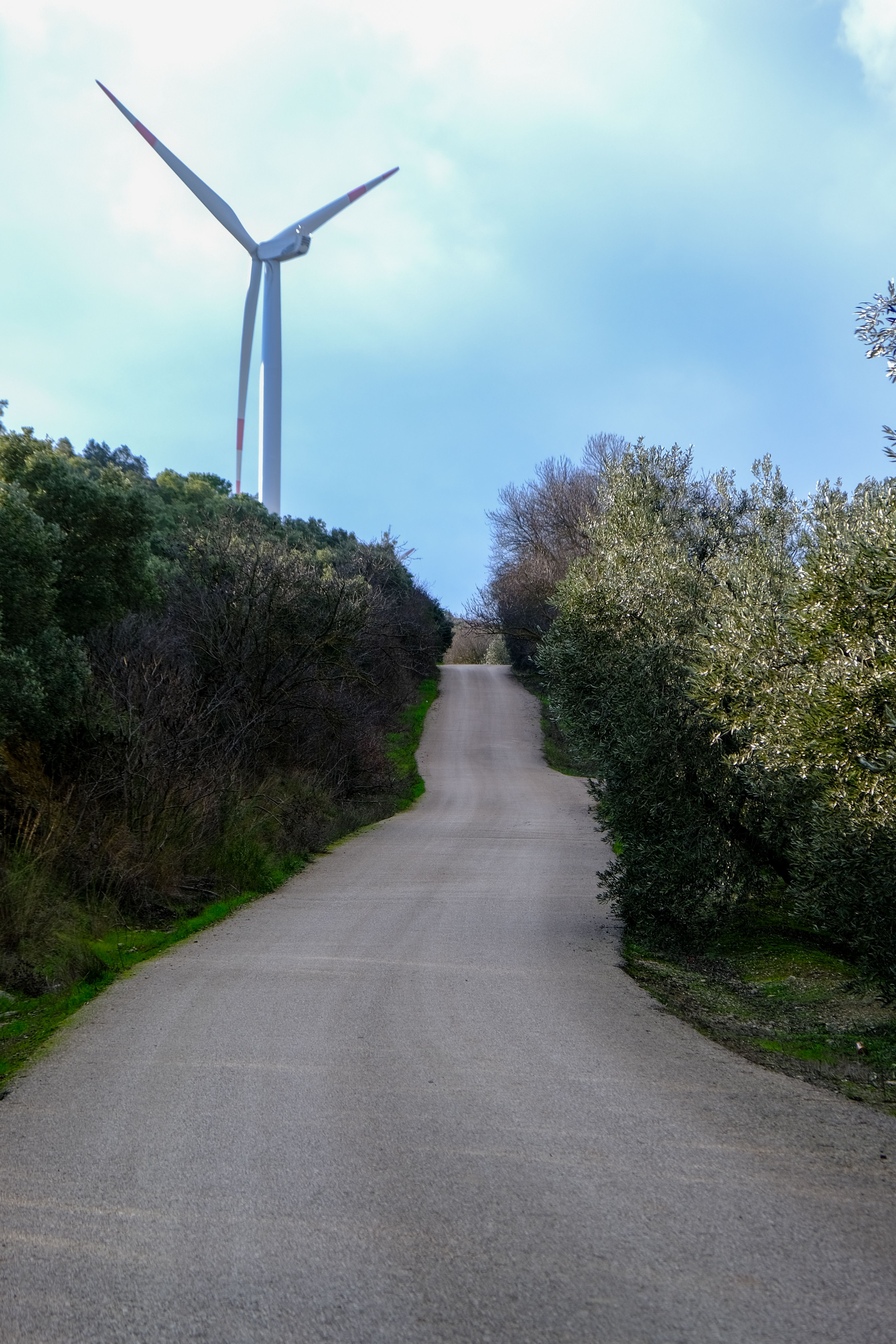 Rural Path Leading to a Wind Turbine under Blue Skies · Free Stock Photo