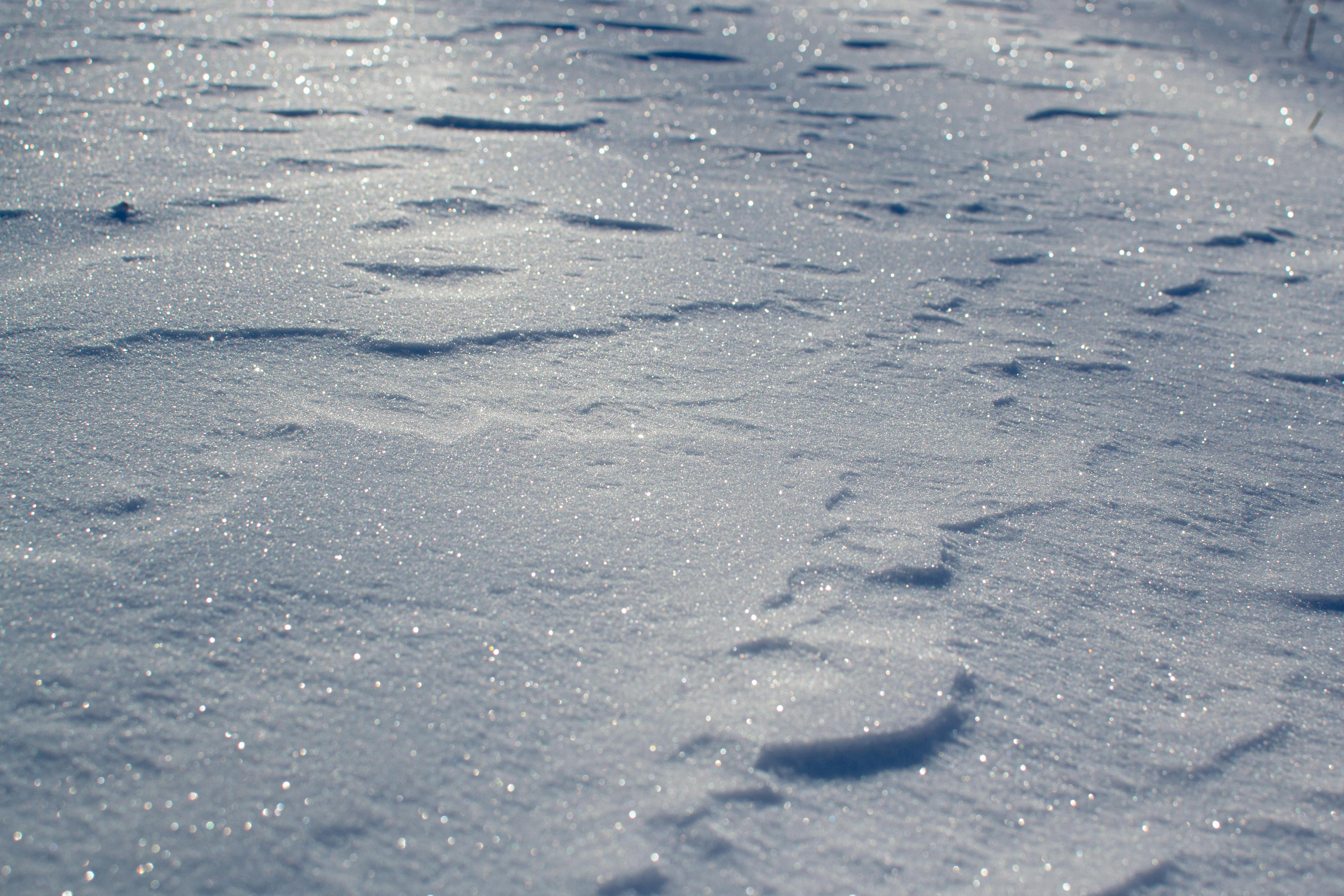 闪闪发光的雪景冬日风景 · 免费素材图片