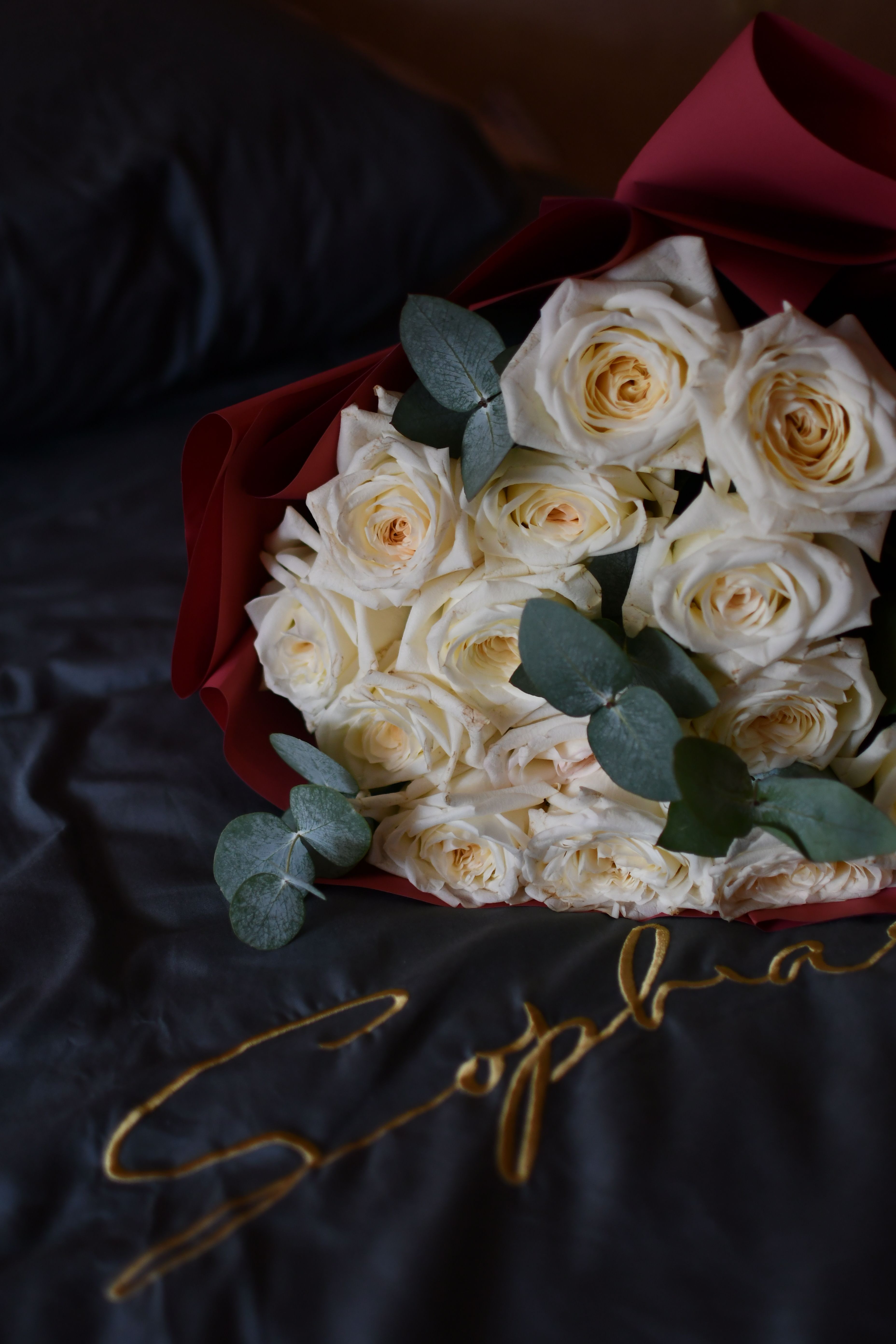 Tender Blooms Photos, Download The BEST Free Tender Blooms Stock Photos ...