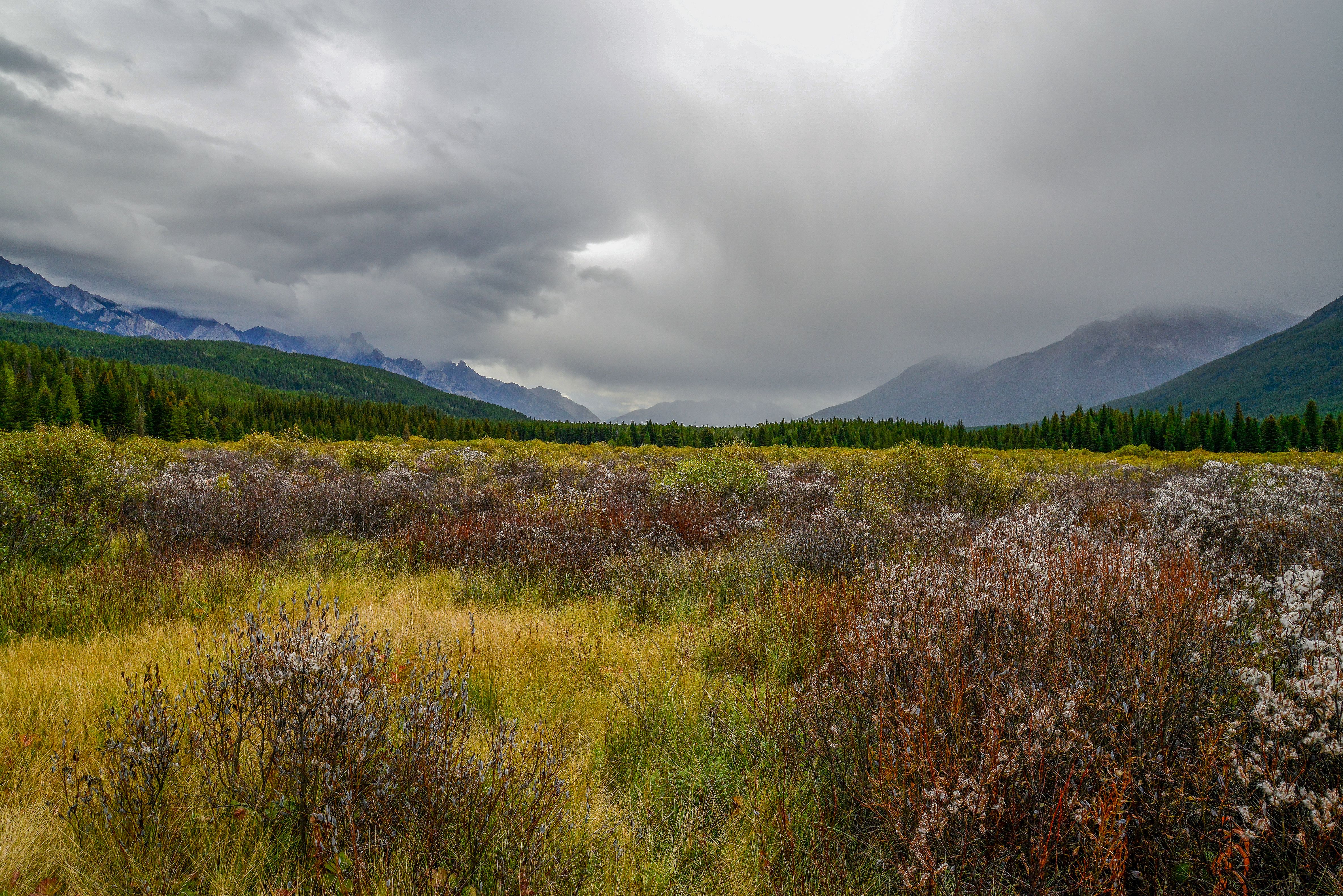 Dramatic Skies over Banff National Park Landscape · Free Stock Photo
