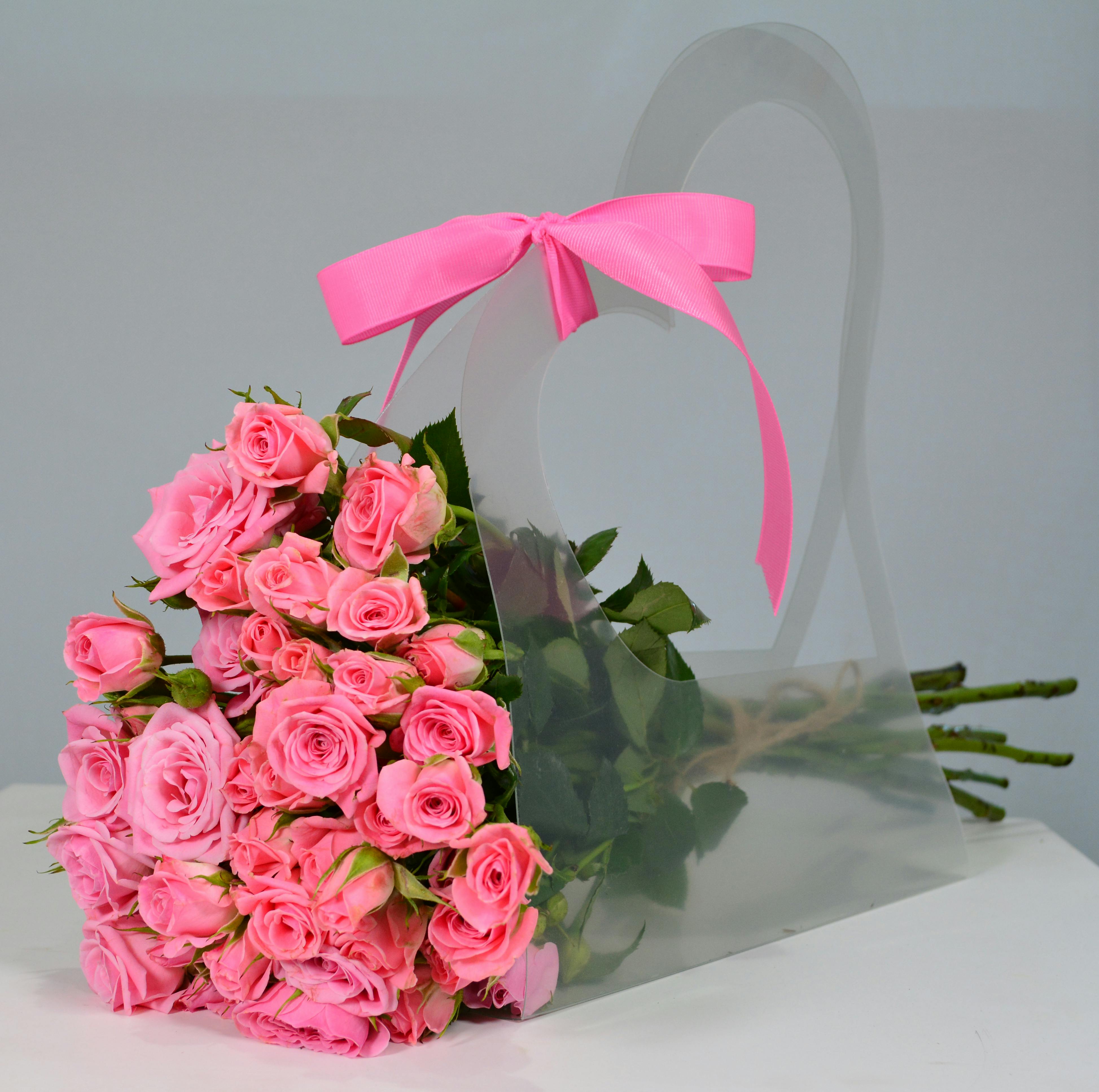 Beautiful Roses Photos, Download The BEST Free Beautiful Roses Stock ...