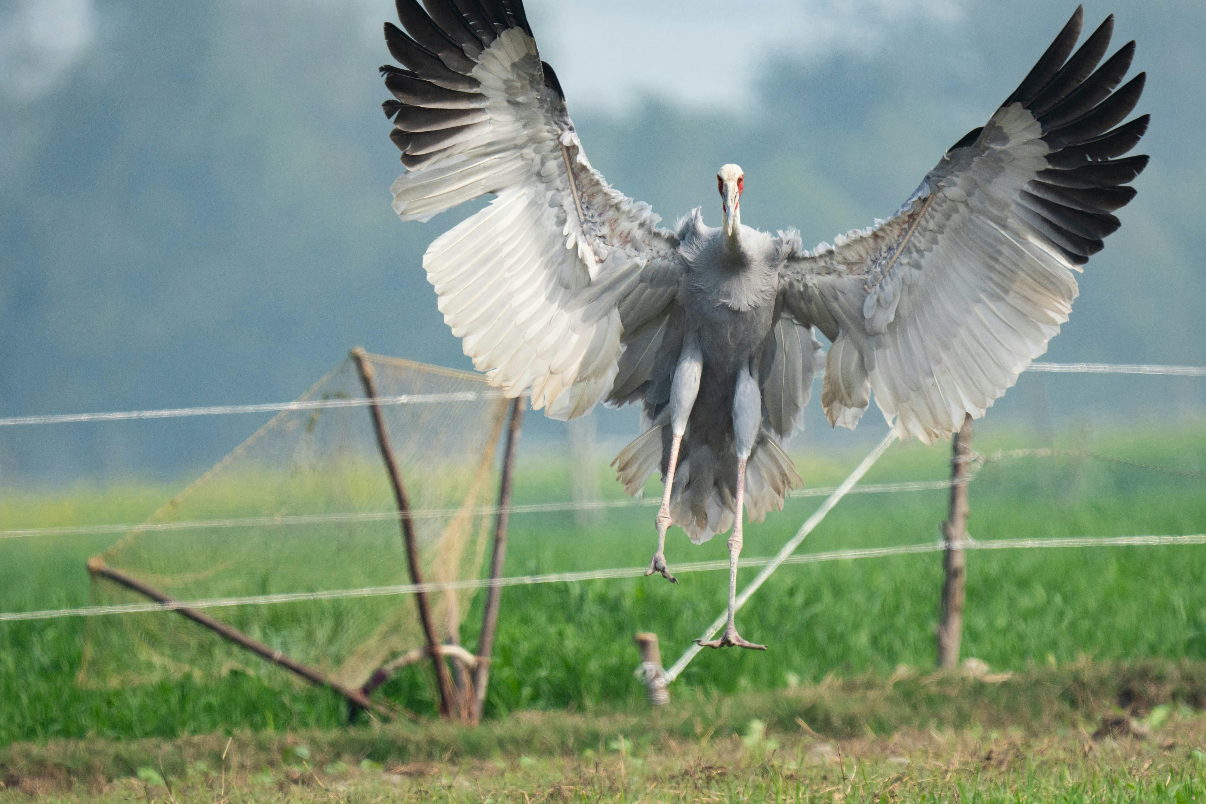Landing Pose Photos, Download The BEST Free Landing Pose Stock Photos ...