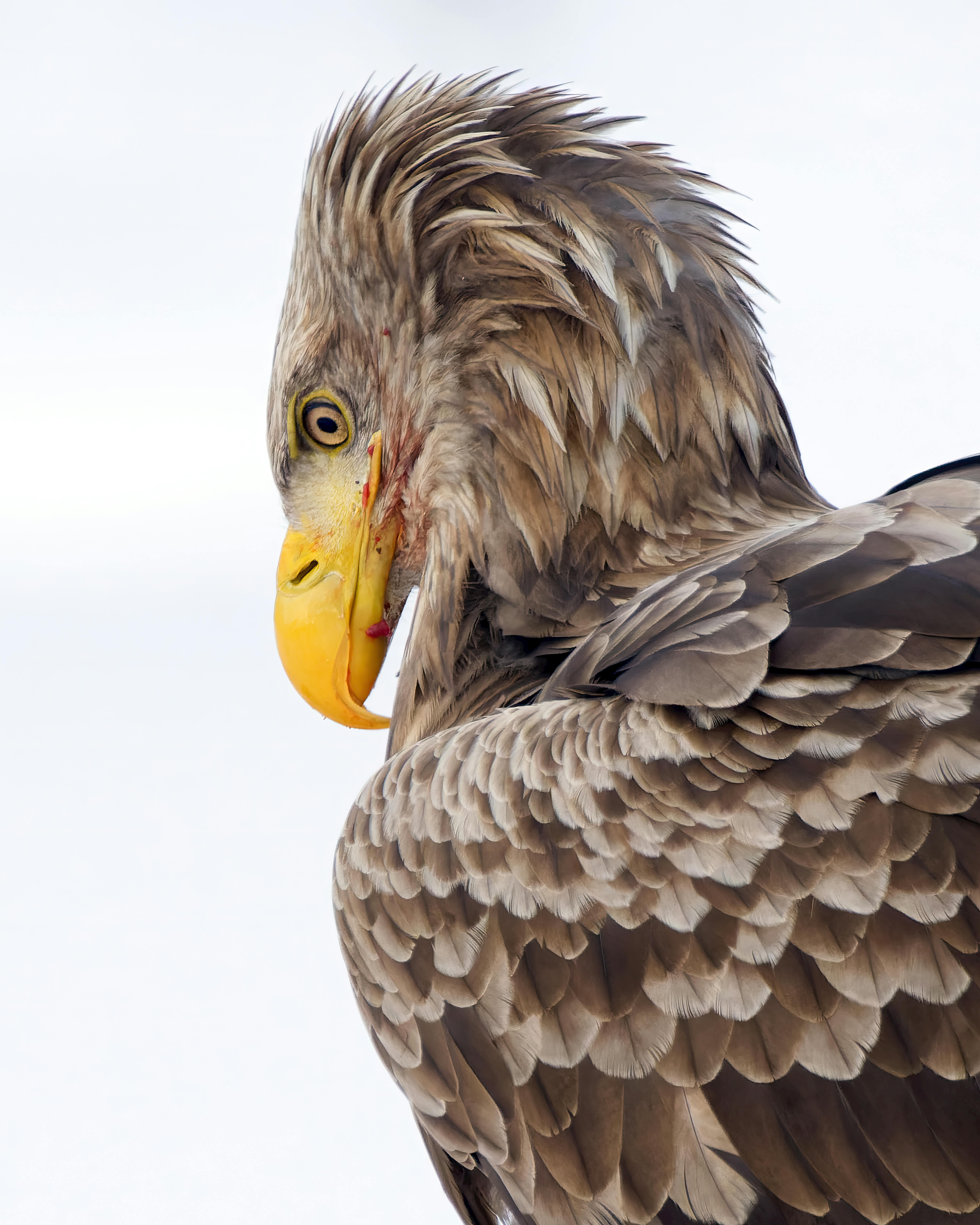 Odd Rune Falch - Photography