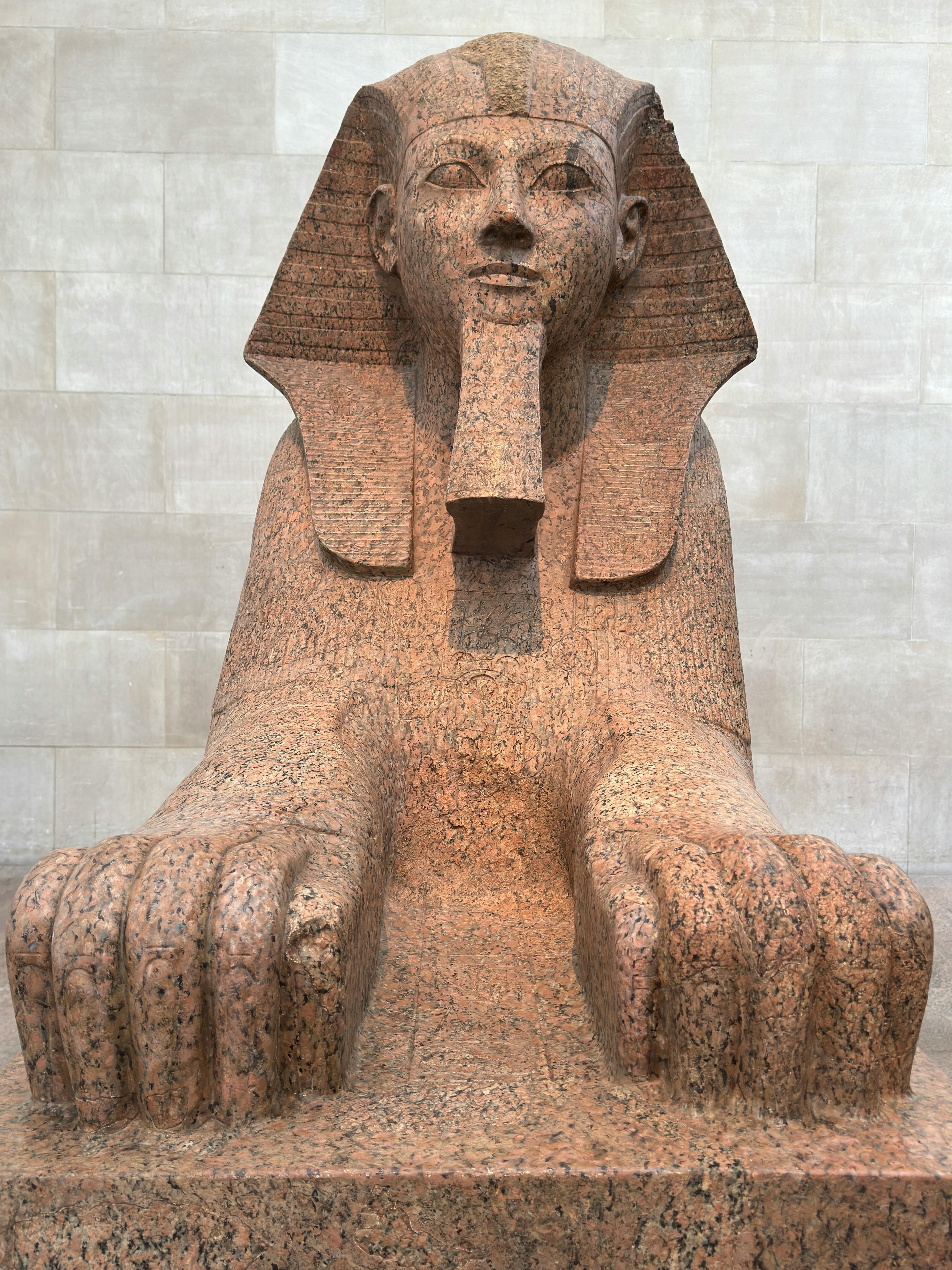 Ancient Egyptian Sphinx Statue in Museum Setting · Free Stock Photo