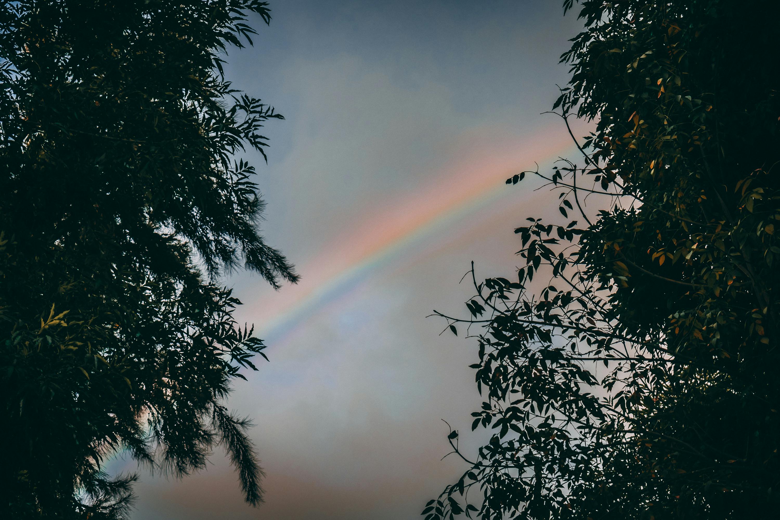 Serene Rainbow Amidst Lush Greenery in Arequipa · Free Stock Photo