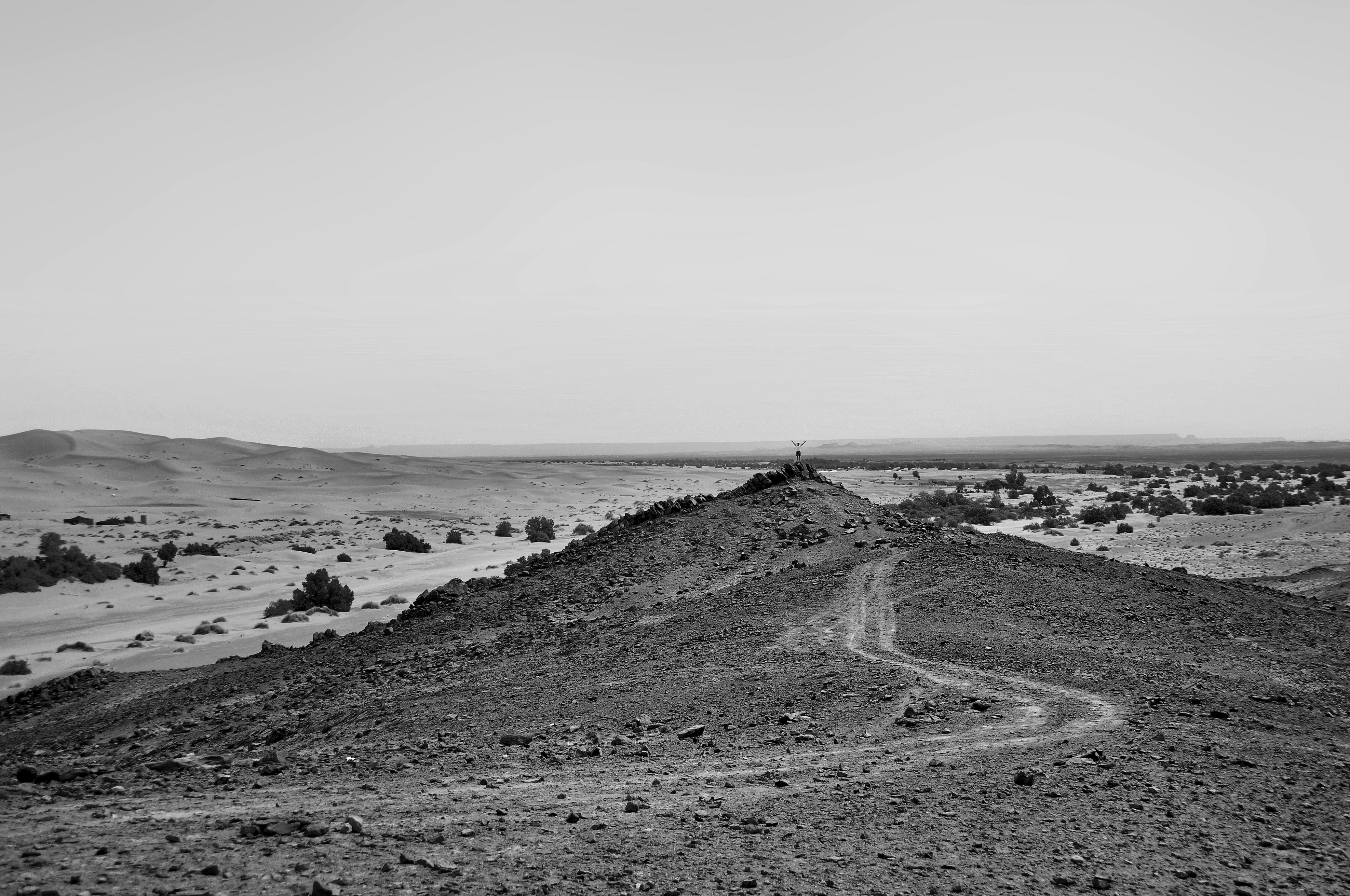 Desert Field · Free Stock Photo