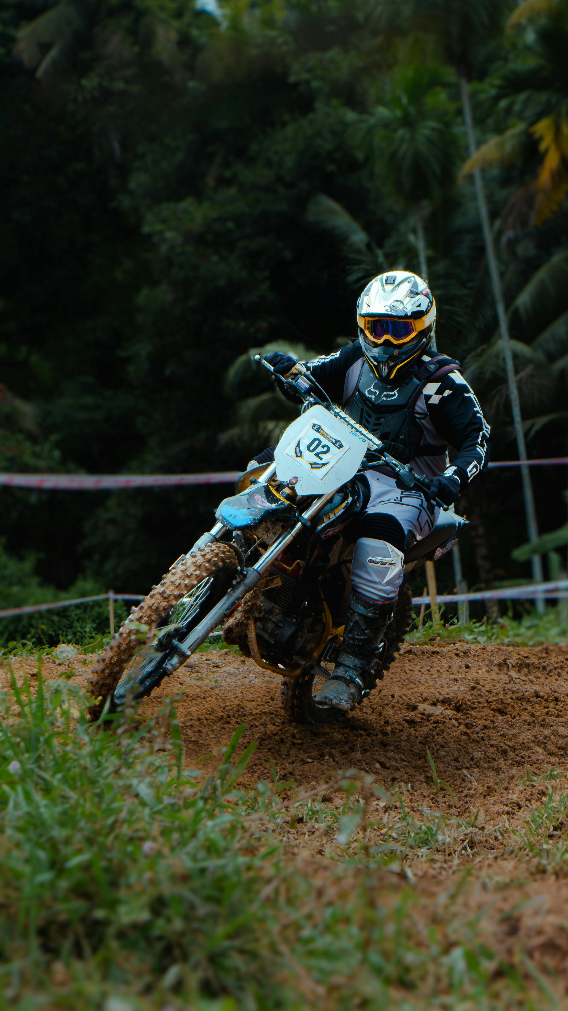 Jungle Tracking Photos, Download The BEST Free Jungle Tracking Stock ...