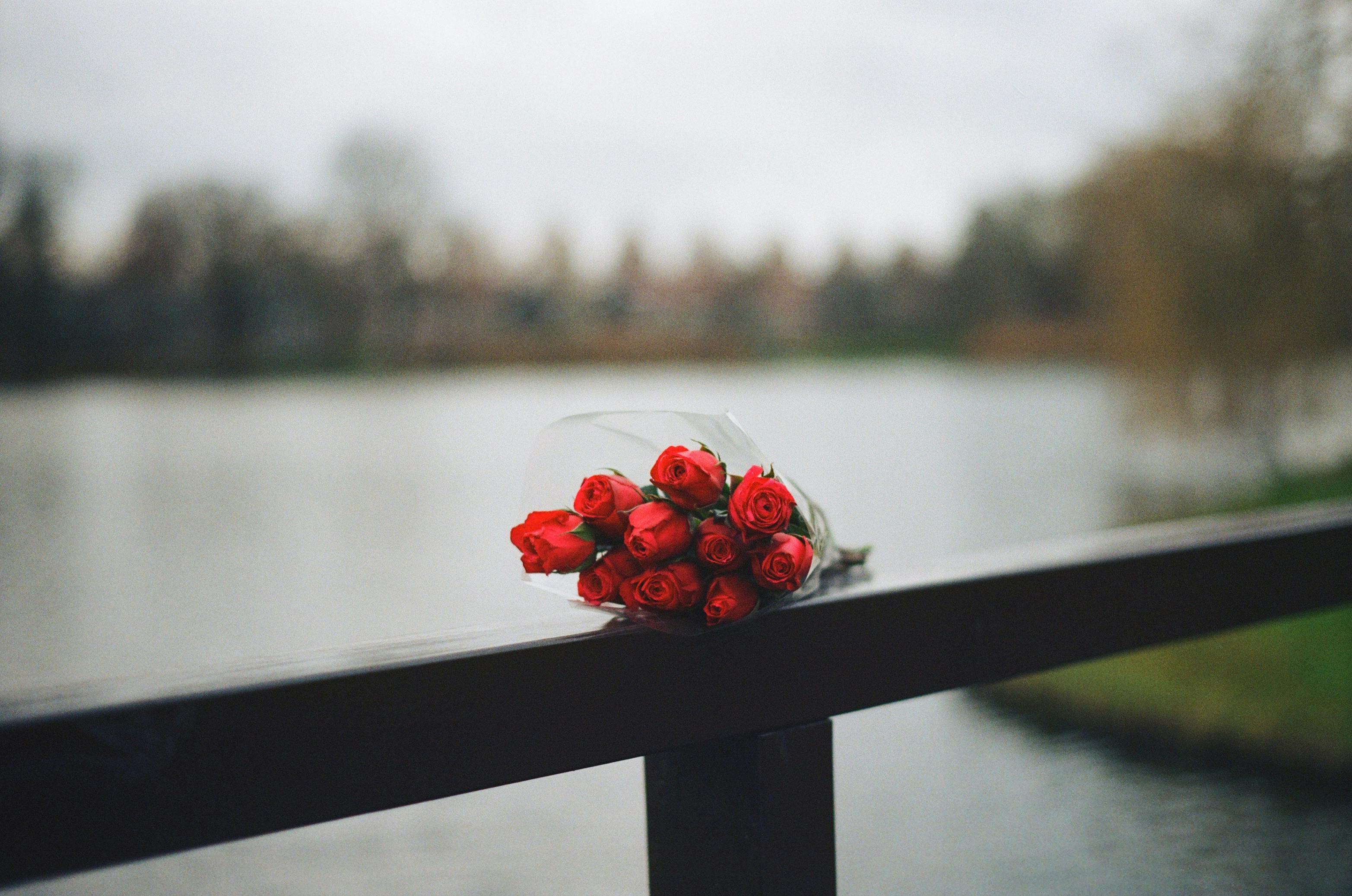 Bouquet of Red Roses on a Bridge Railing · Free Stock Photo
