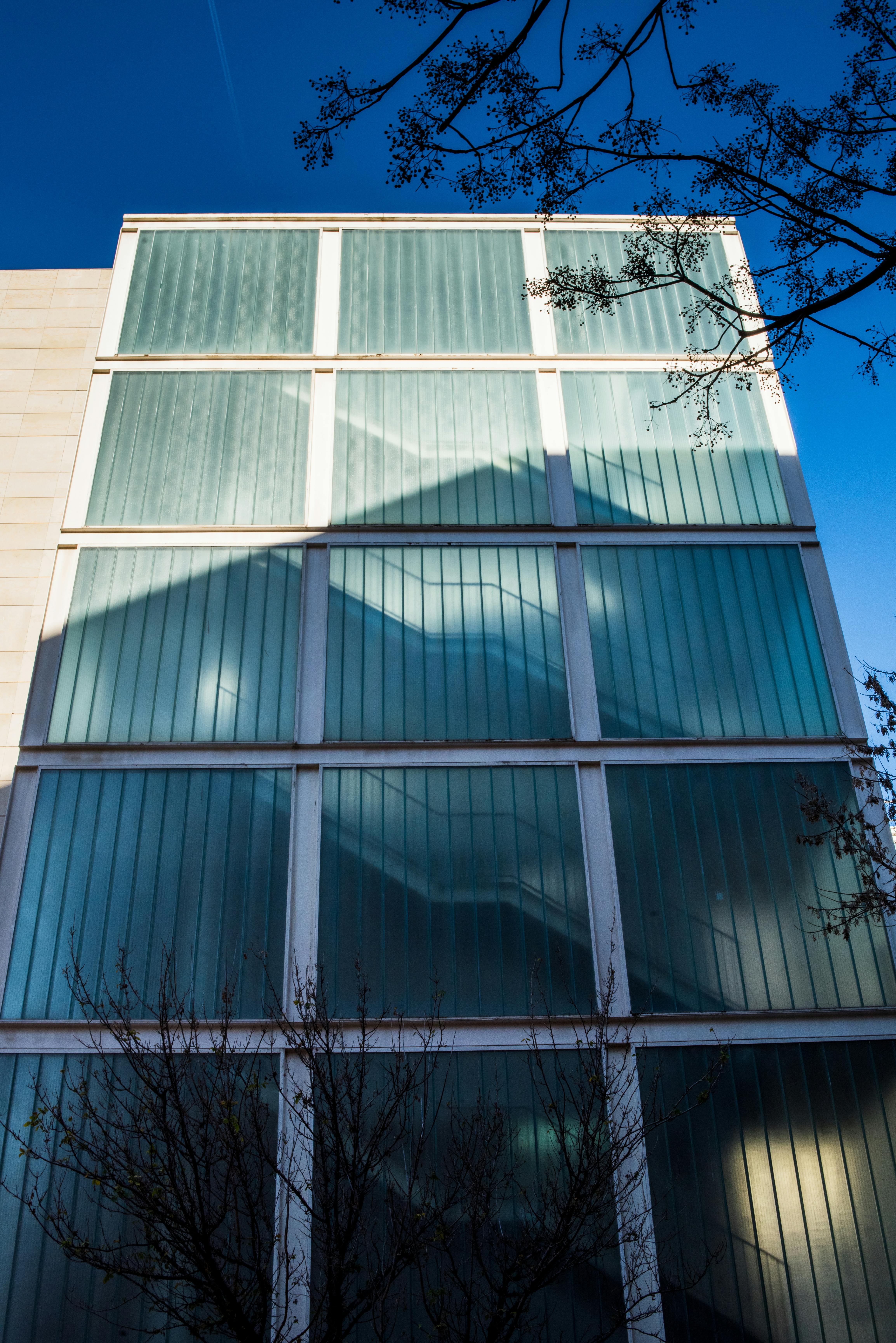 Modern Glass Building with Tree Shadow Reflection · Free Stock Photo