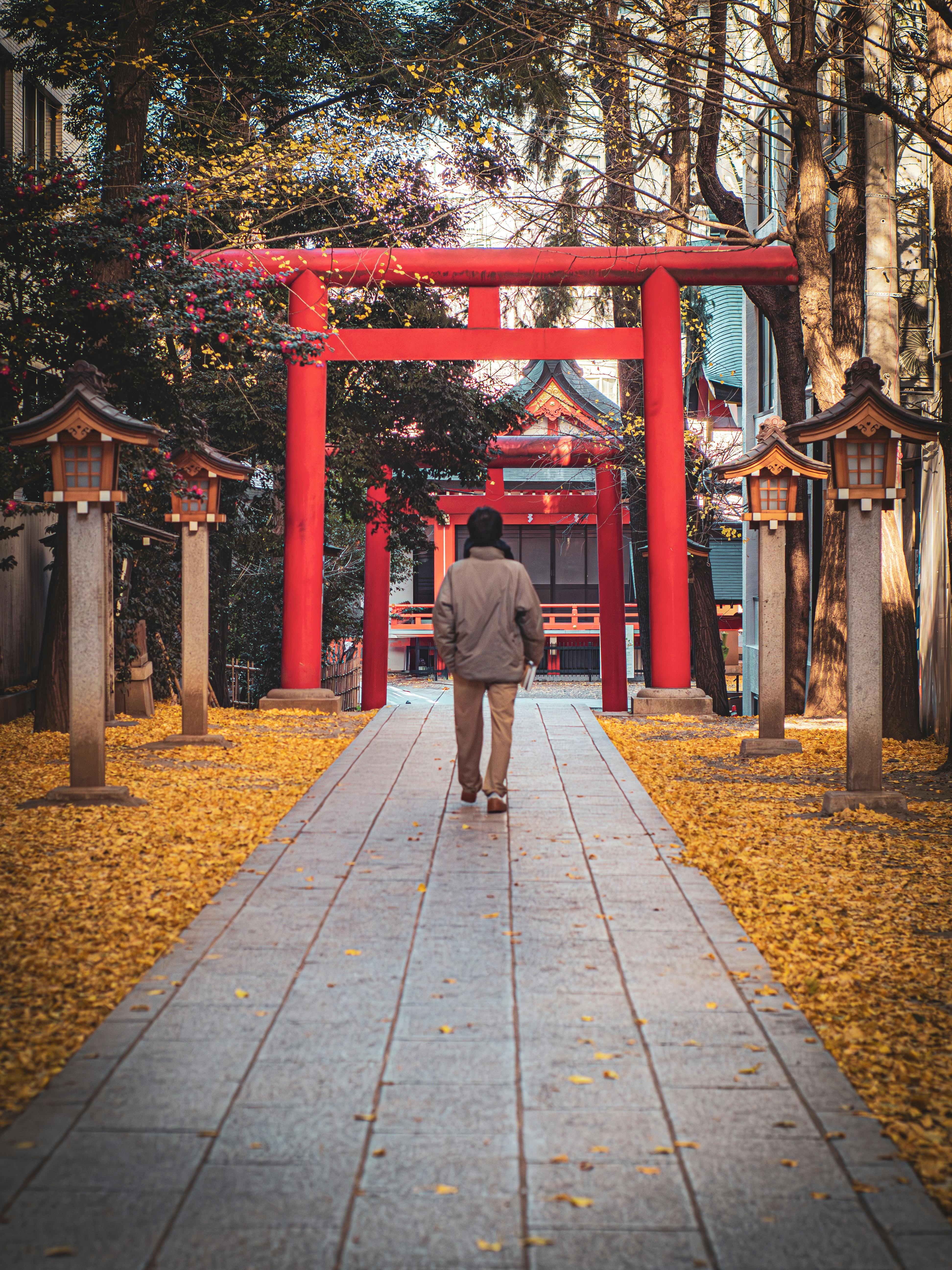 Serene Japanese Shrine Pathway in Autumn · Free Stock Photo