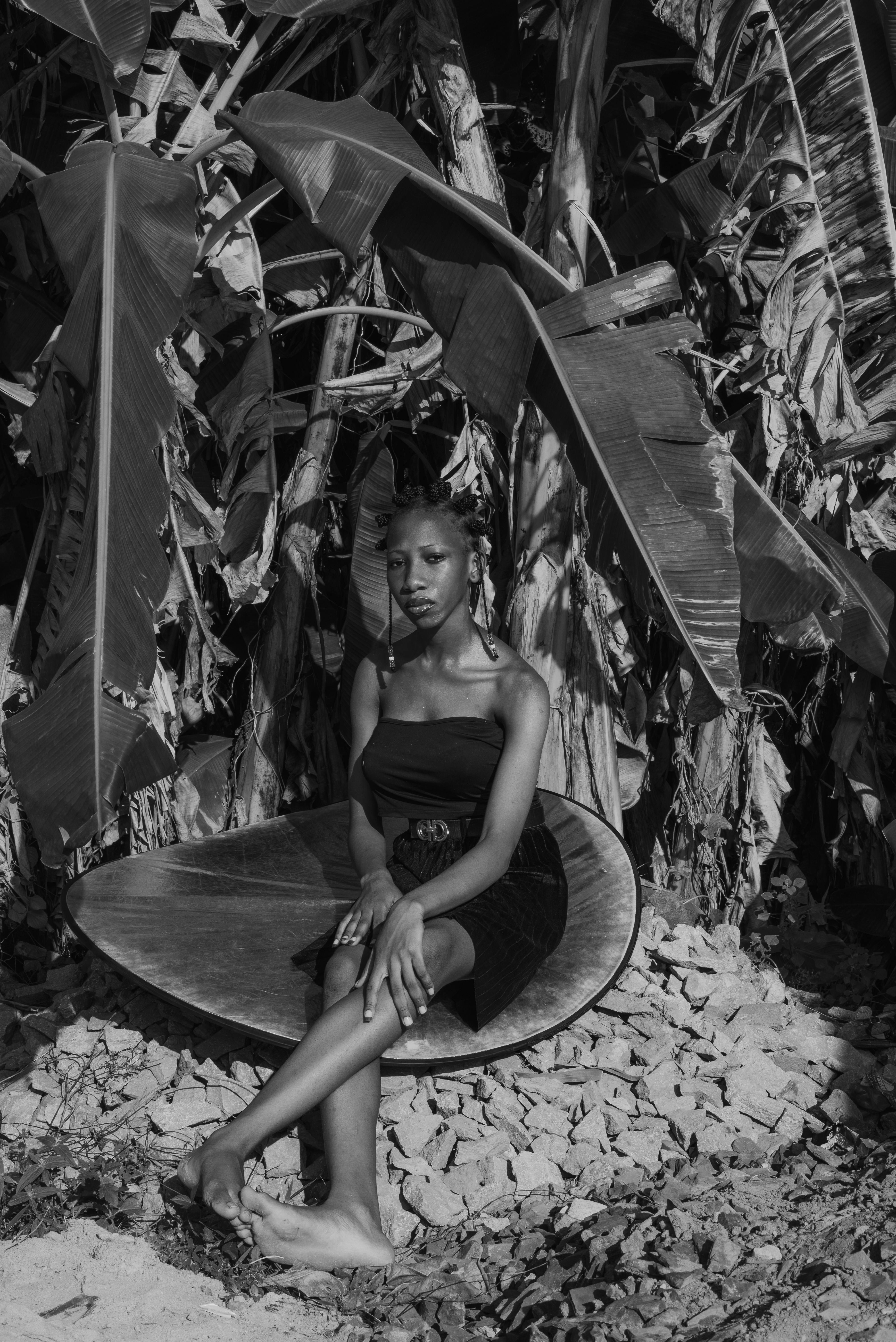 All Trichord Hexachord Photos, Download The BEST Free All Trichord ...