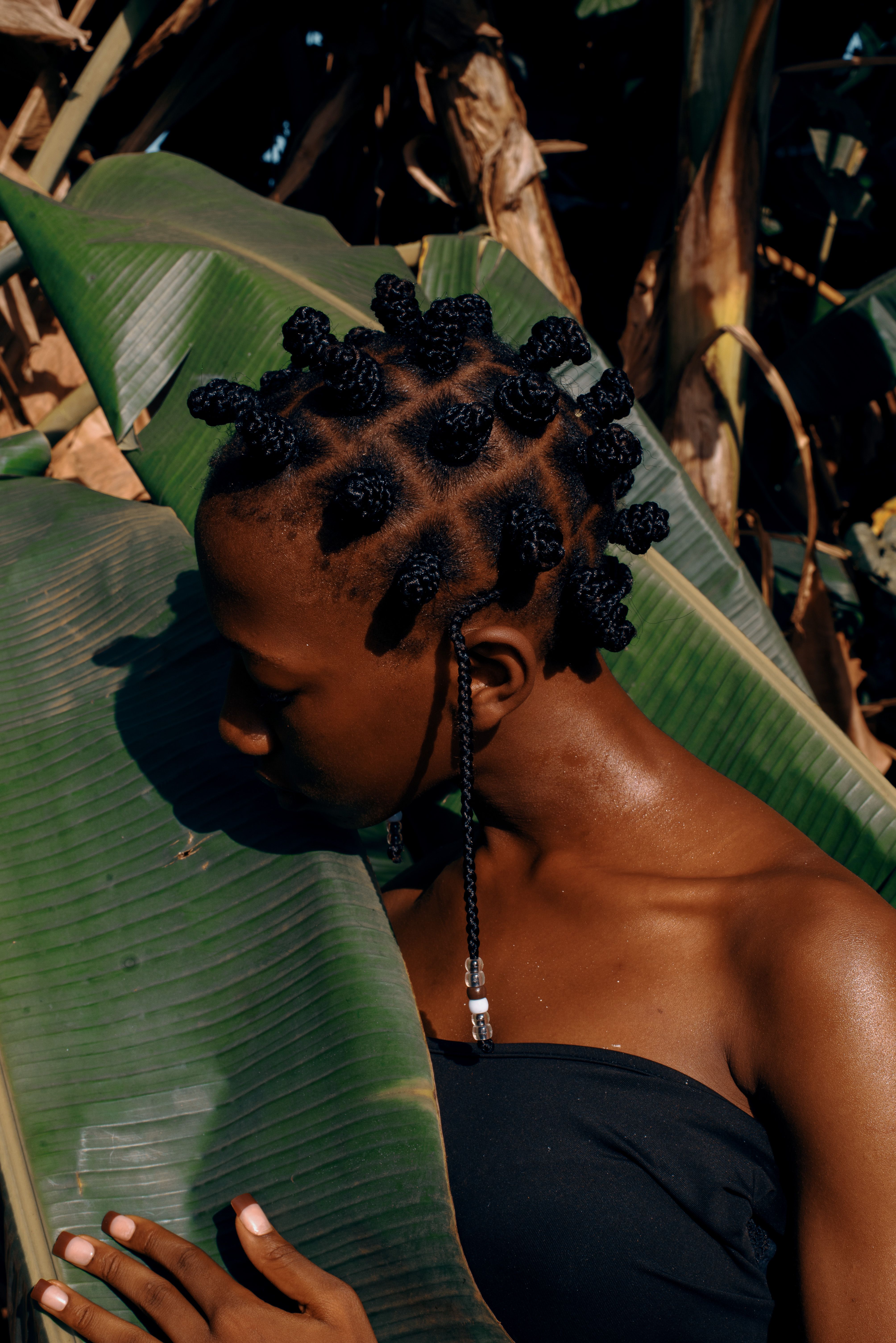 Elegant Portrait of Woman with Bantu Knots in Nature · Free Stock Photo