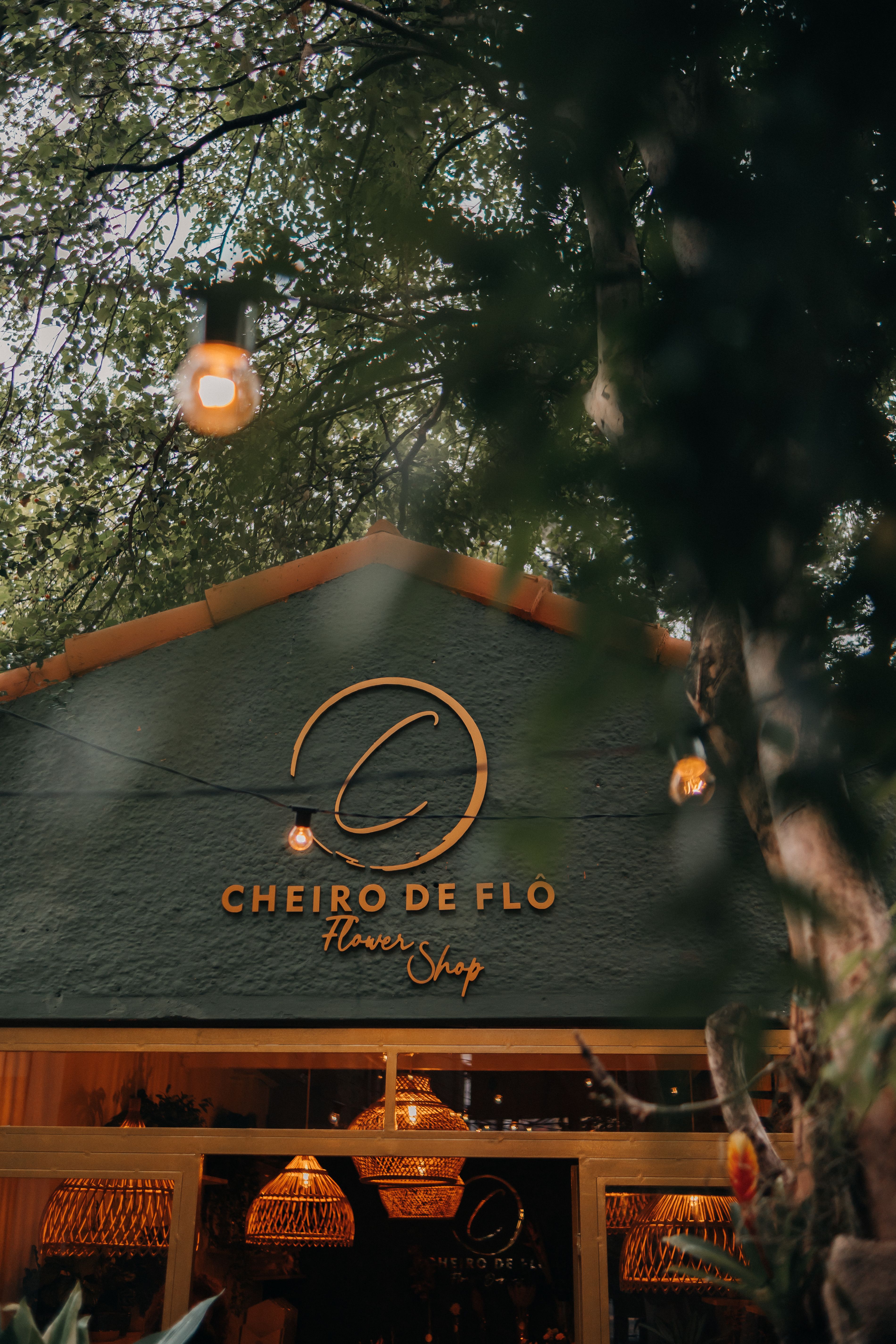 Experimento De Cheiro Photos, Download The BEST Free Experimento De ...